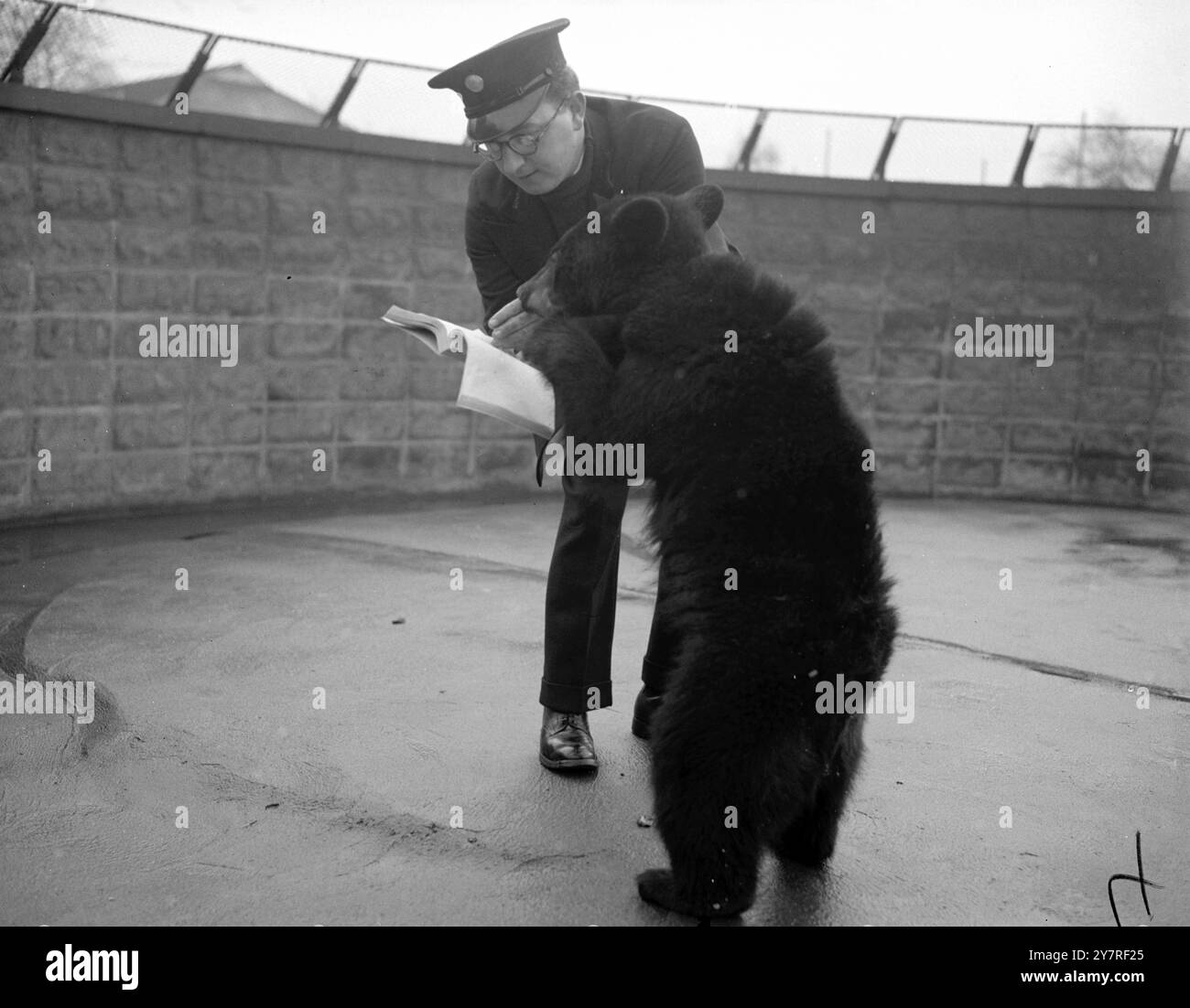 12 reg Black and White Stock Photos & Images - Alamy