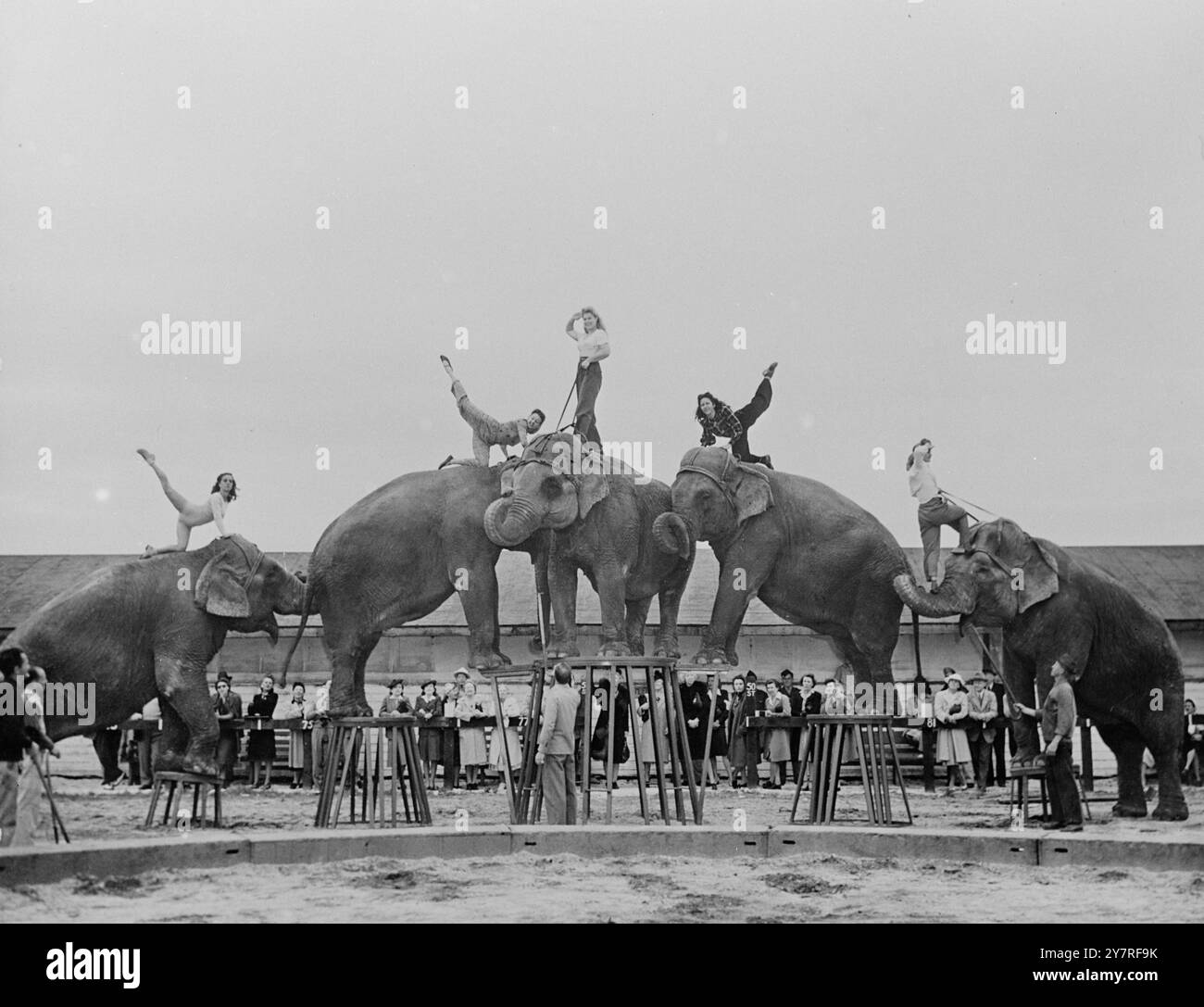 73376 hi-res stock photography and images - Alamy