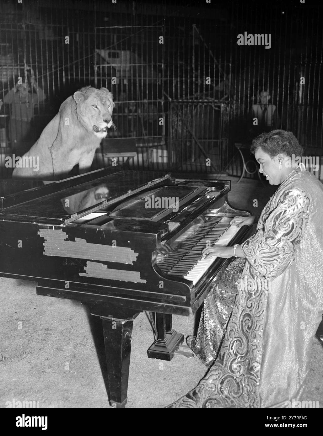 Jungle Boogie for the lions 22.12.53 Pianist Winifred Atwell played ...