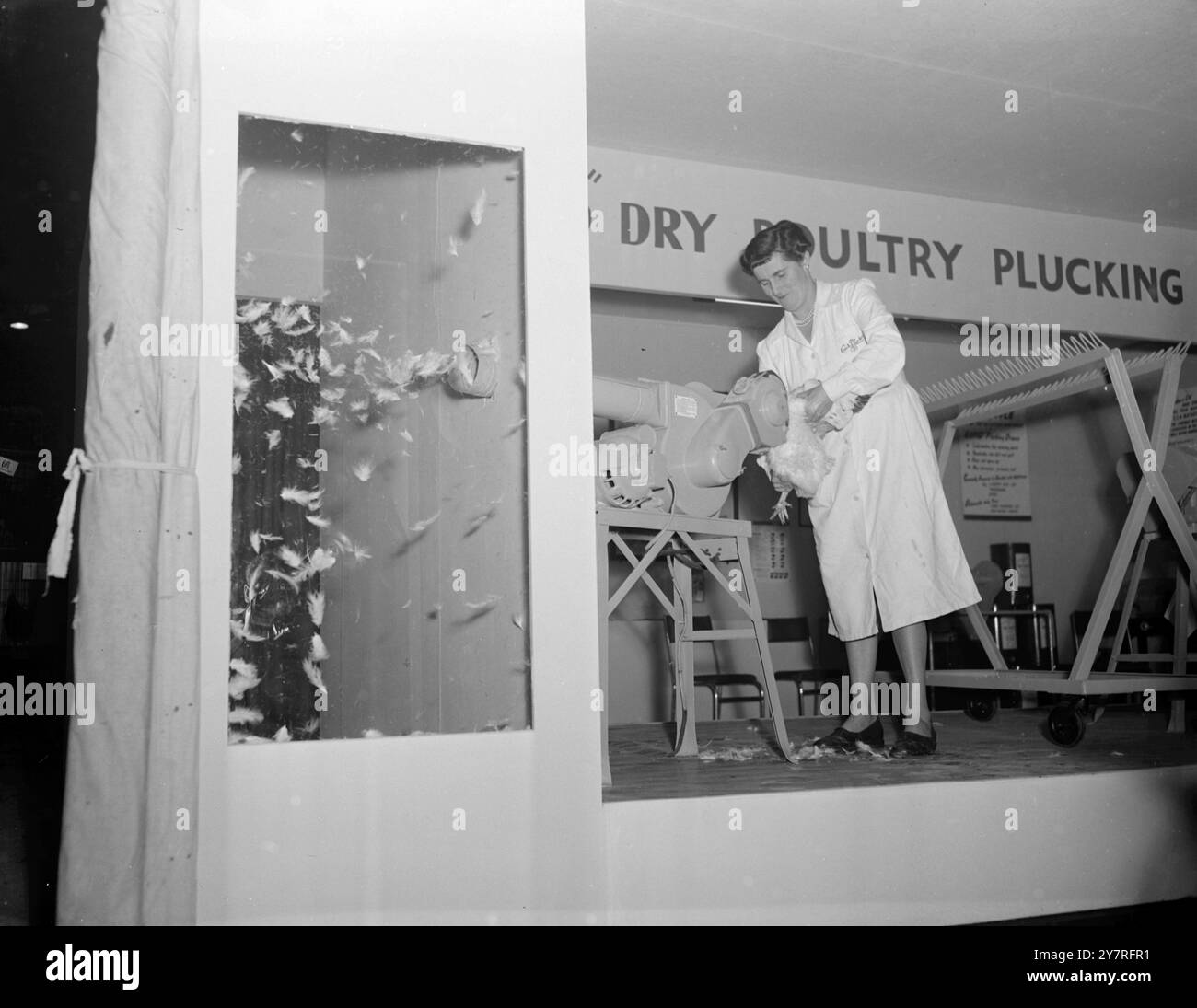 Off come the feathers at 60 birds an hour. On October 12, 1953, a dry ...