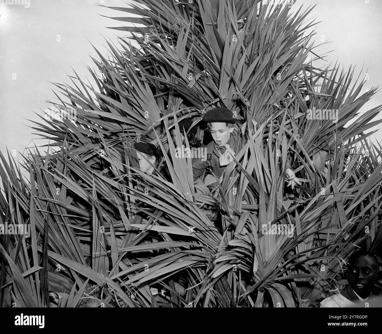 Way photos Black and White Stock Photos & Images - Alamy