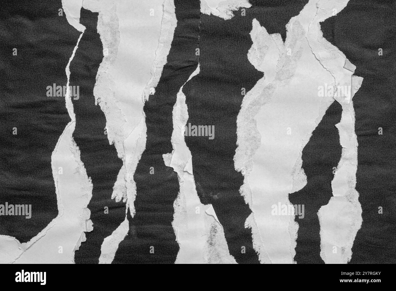Black and White Torn Paper Collage Style, Ripped Paper Effect, Texture ...