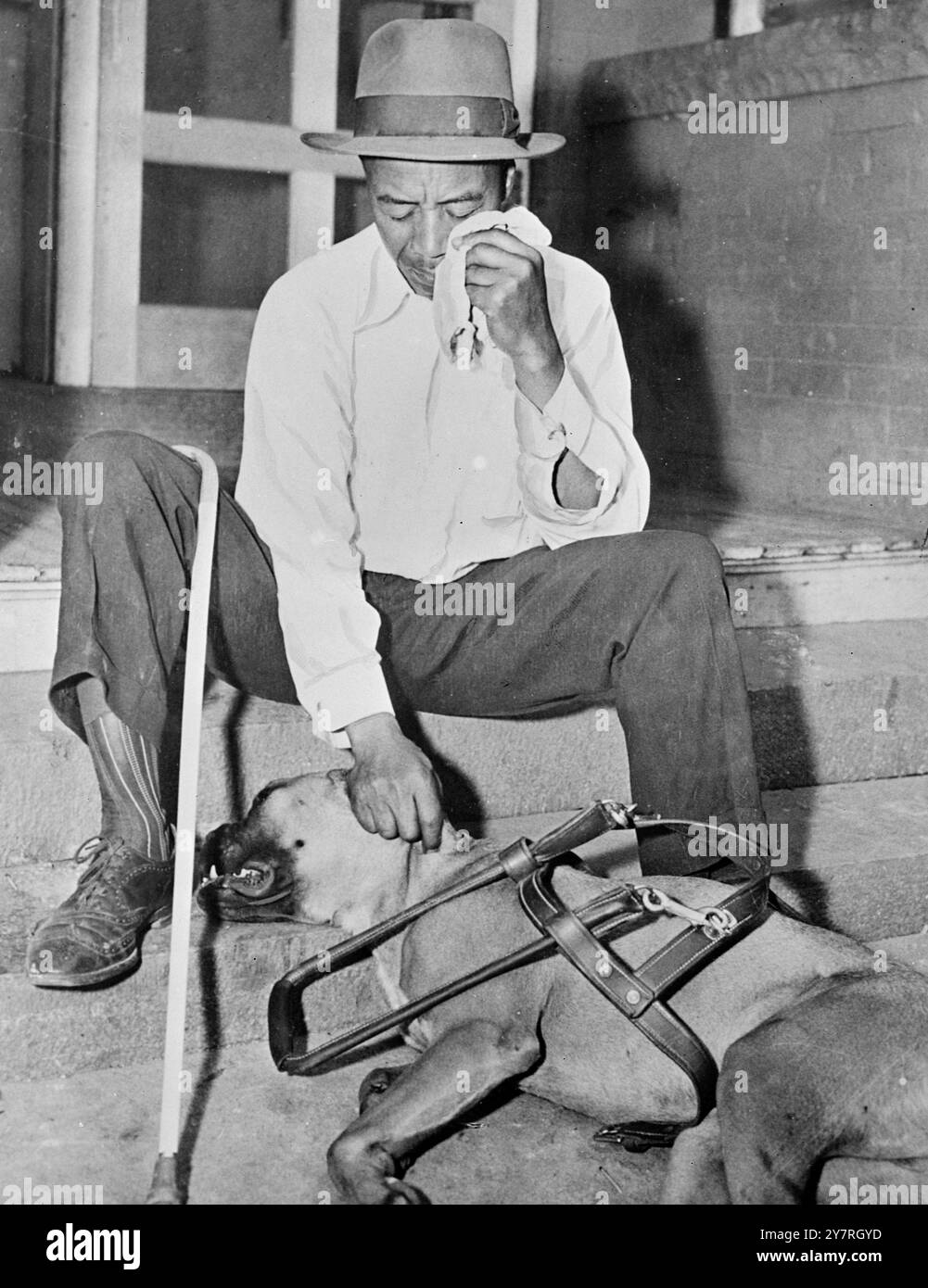 Blind man weeps for slain guide-dog. 54-year-old blind man Hubert Hall ...