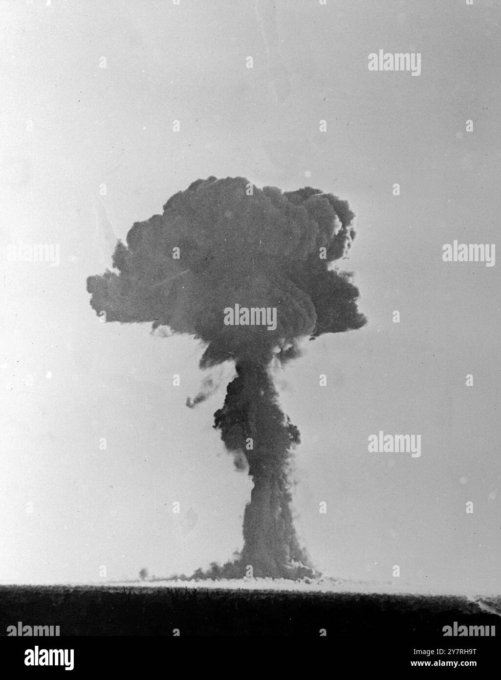 Australian desert mushroom hi-res stock photography and images - Alamy