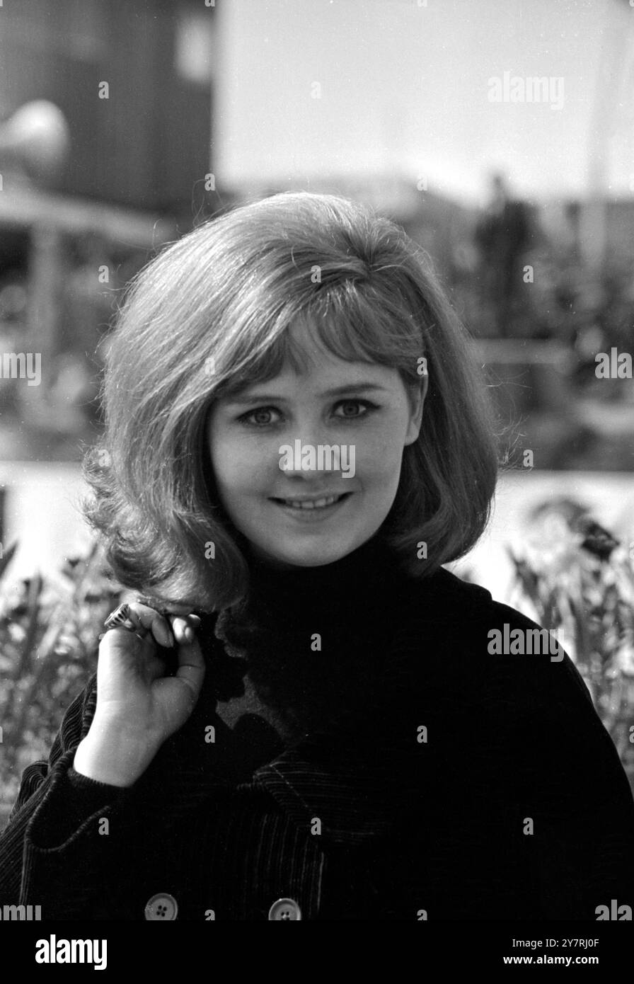 Lulu singer 1960s hi-res stock photography and images - Alamy
