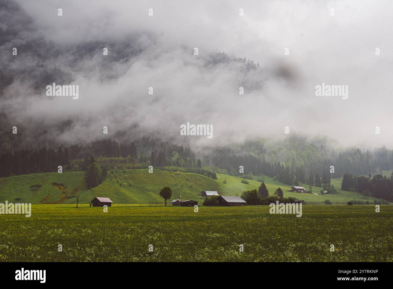 Meadow and mountain overlook with cabin, Oberstdorf Germany alps Stock ...