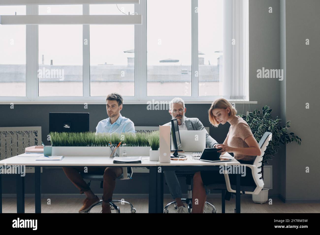 Three confident business people working together while sitting at the ...