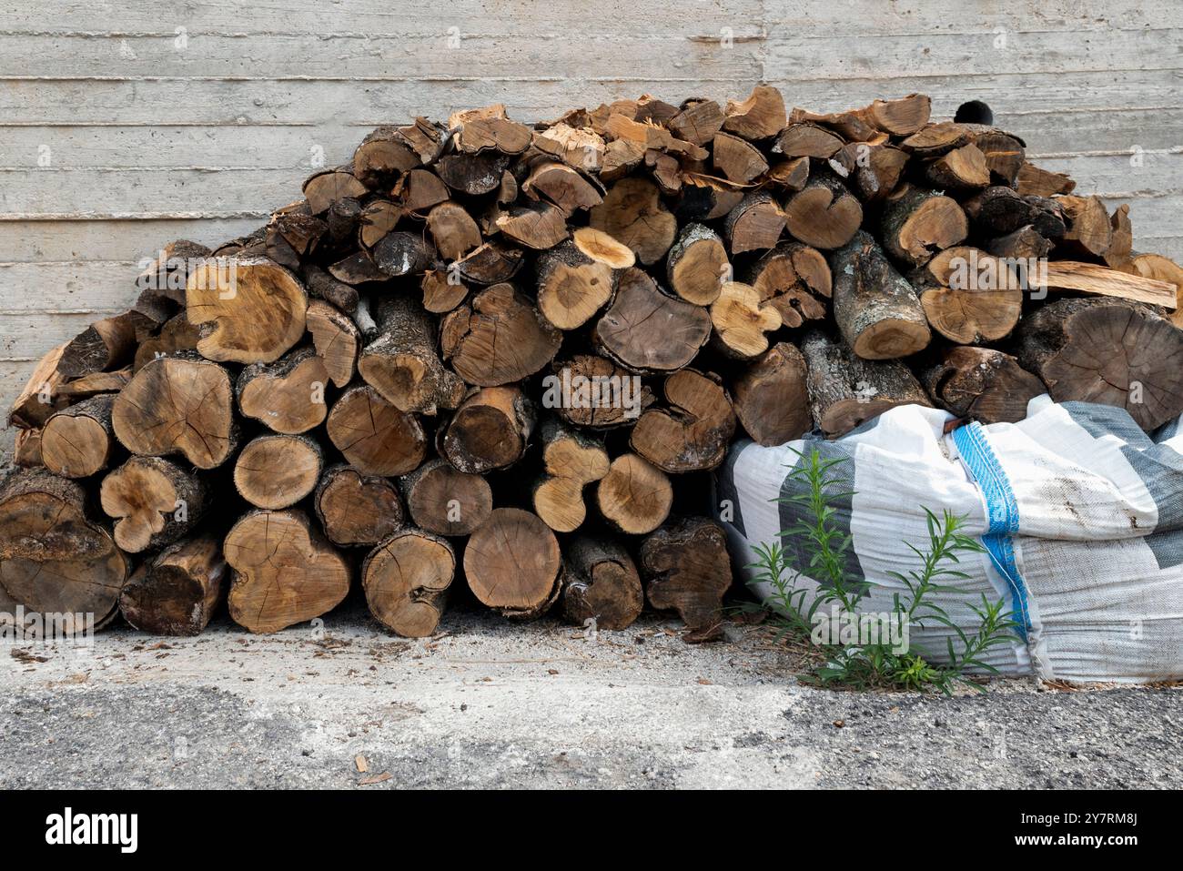 Pile of logs Stock Photo - Alamy