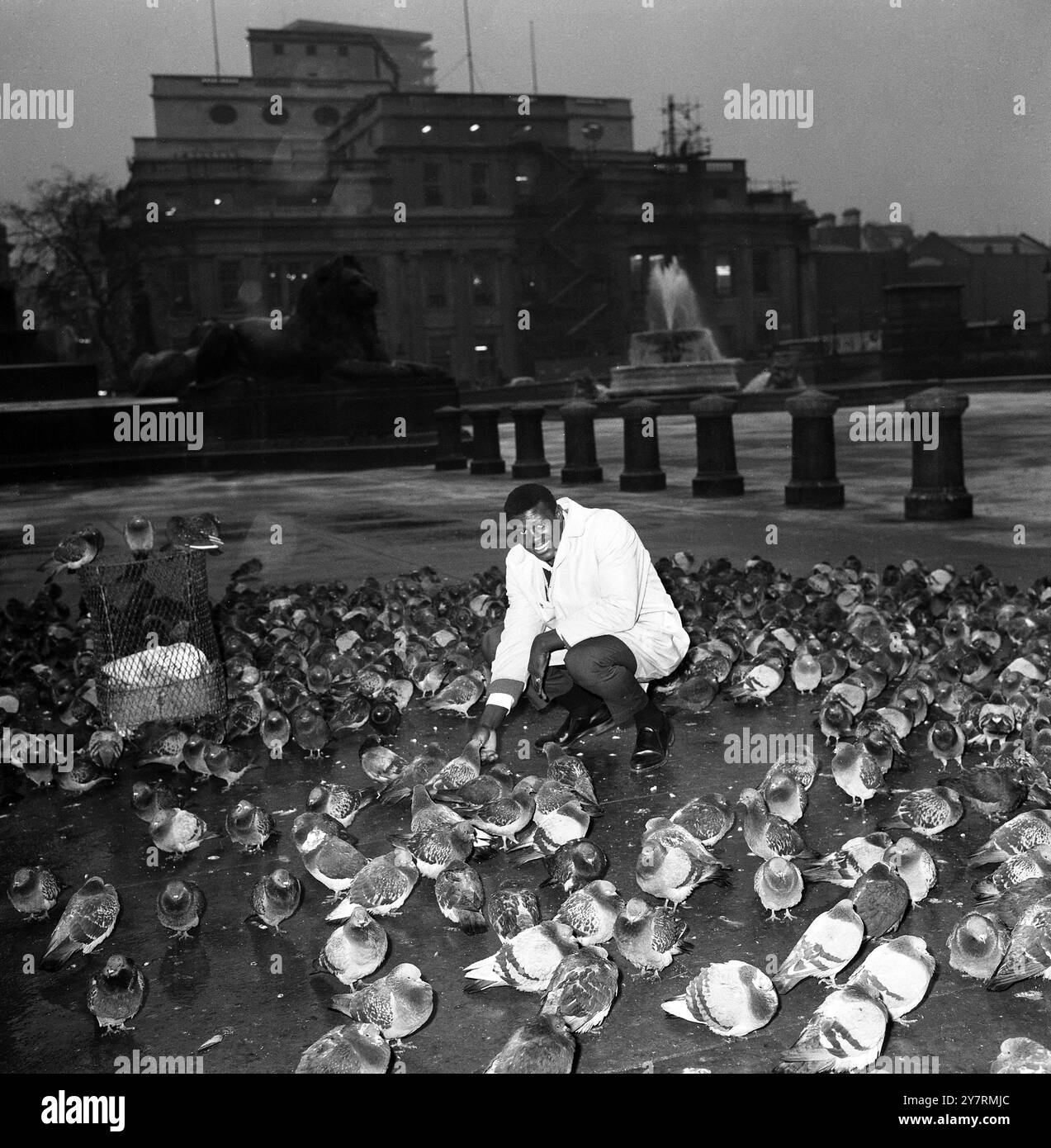 HEAVYWEIGHT HILTON IN LONDONLondon, England, UK : Pictured feeding the ...