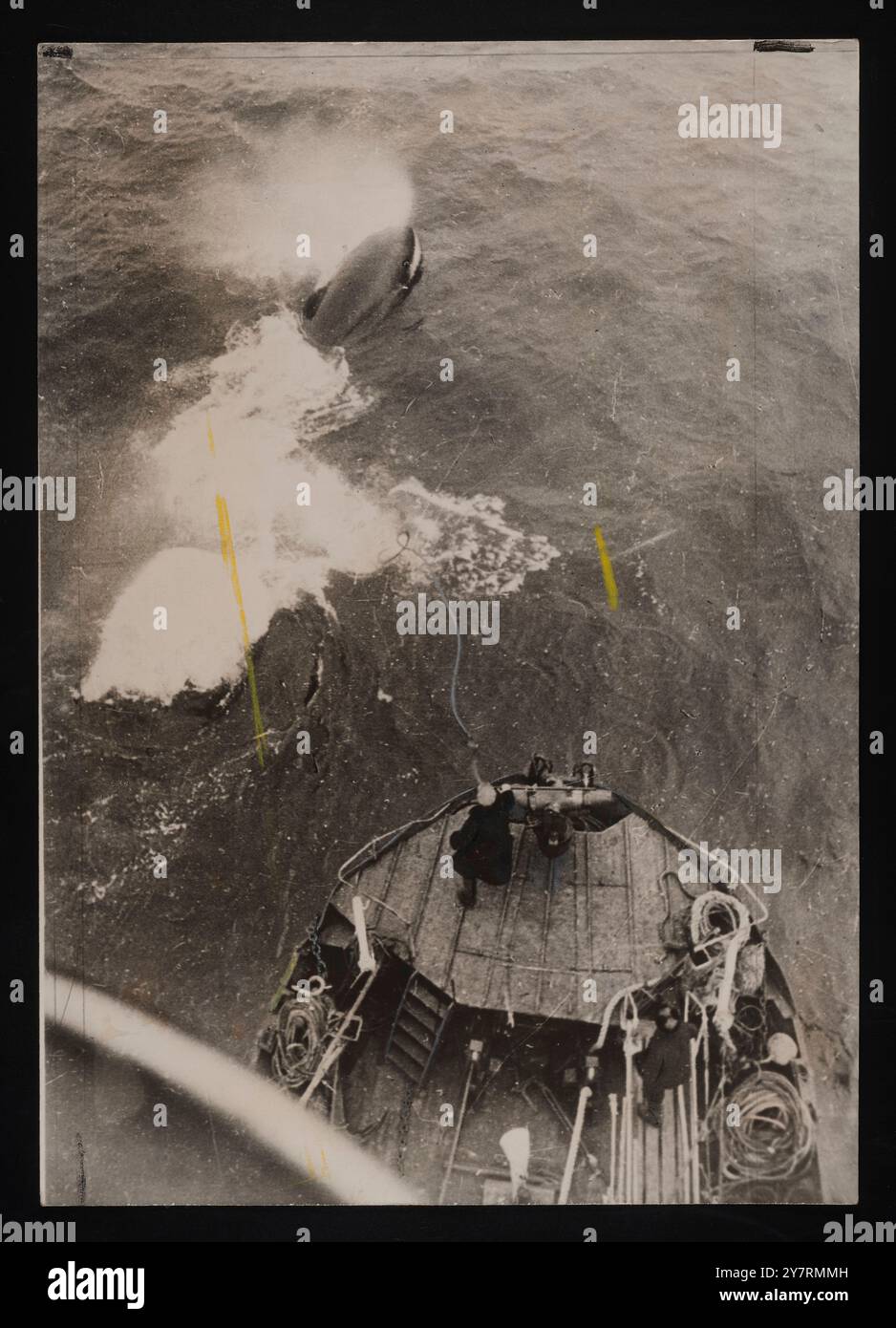 With The Whalers of the Behring Sea. - With one of the most modern ...