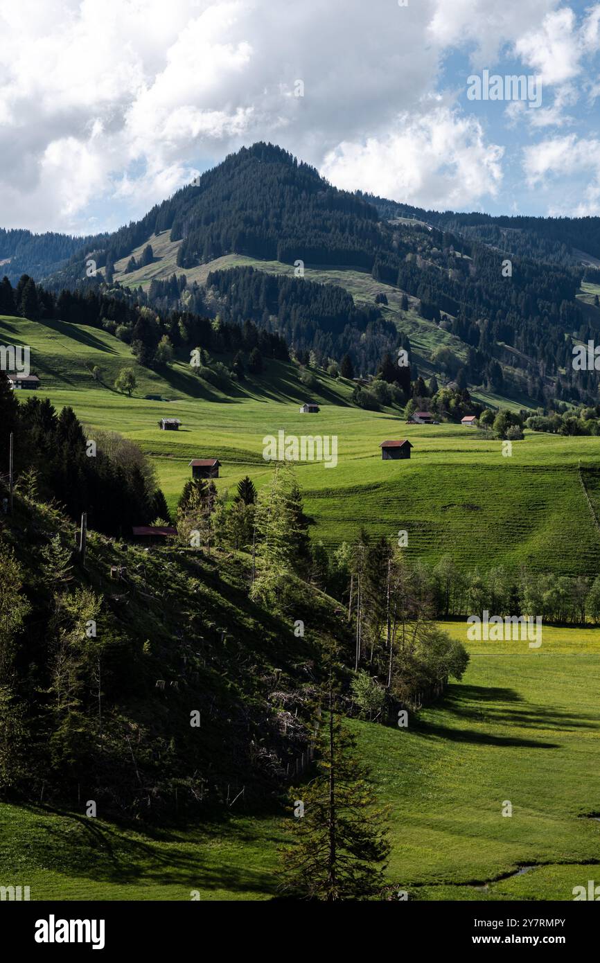 Rolling fields in European Alps near Oberstdorf Germany Stock Photo - Alamy