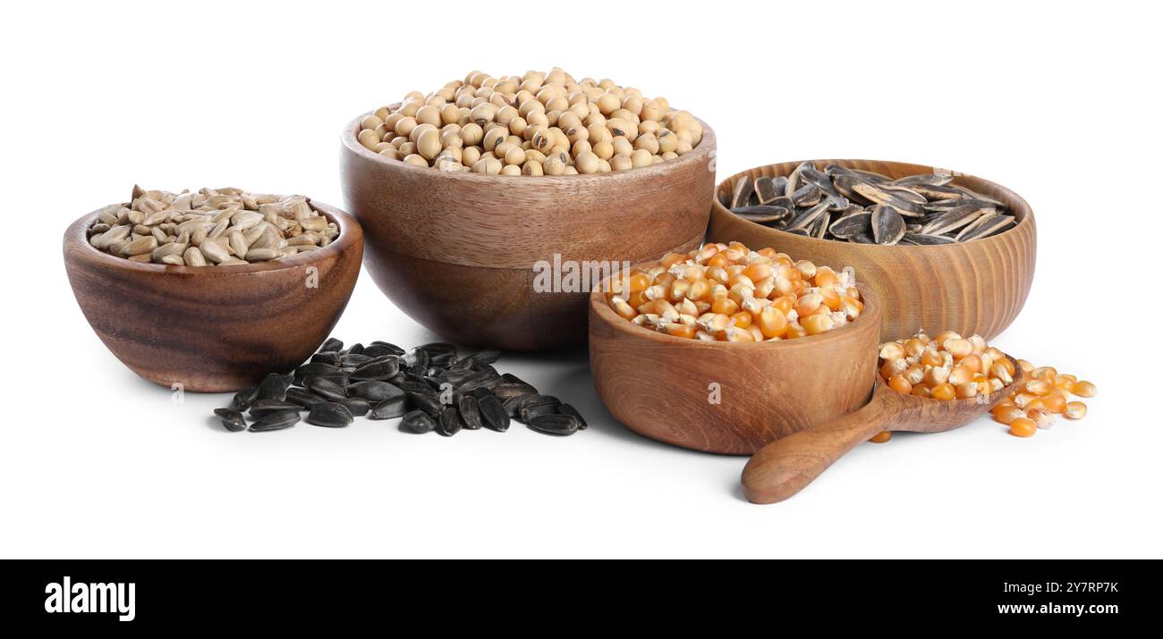 Various types of soybeans hi-res stock photography and images - Alamy