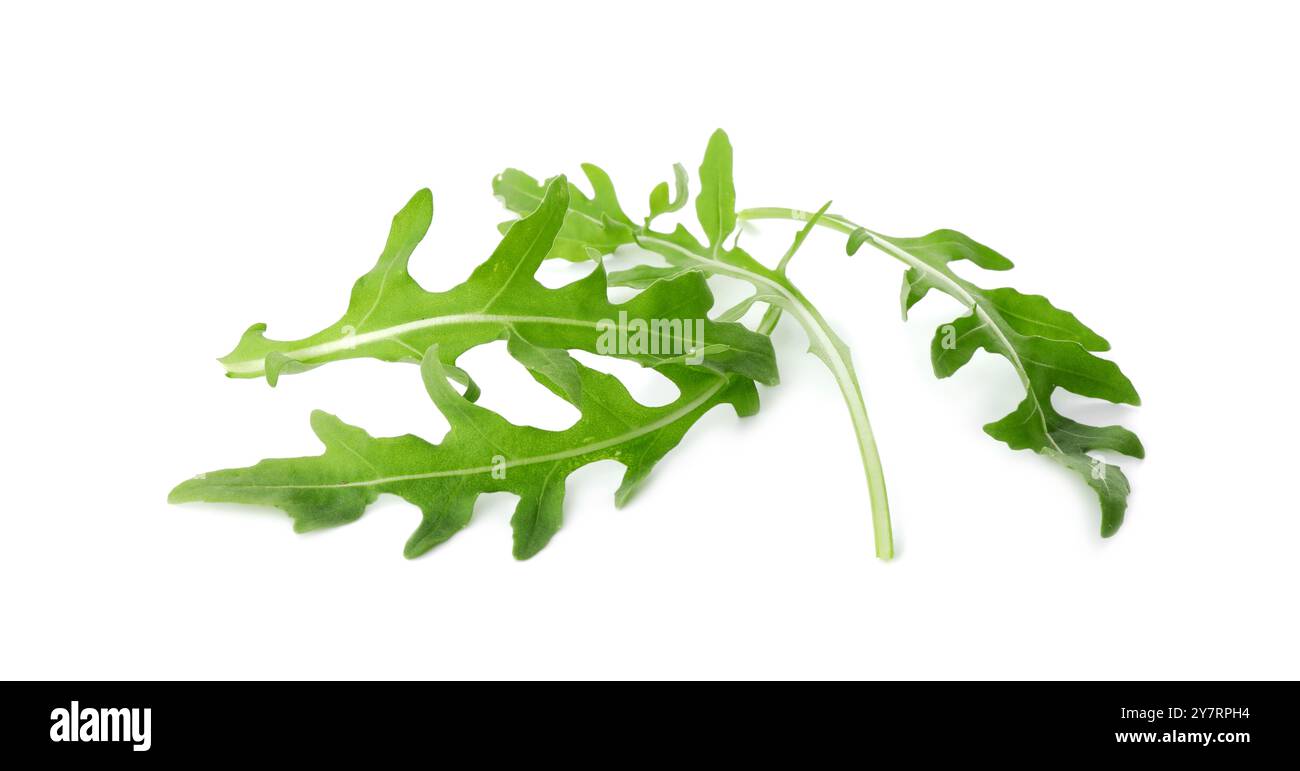 Fresh arugula leaves isolated hi-res stock photography and images - Alamy