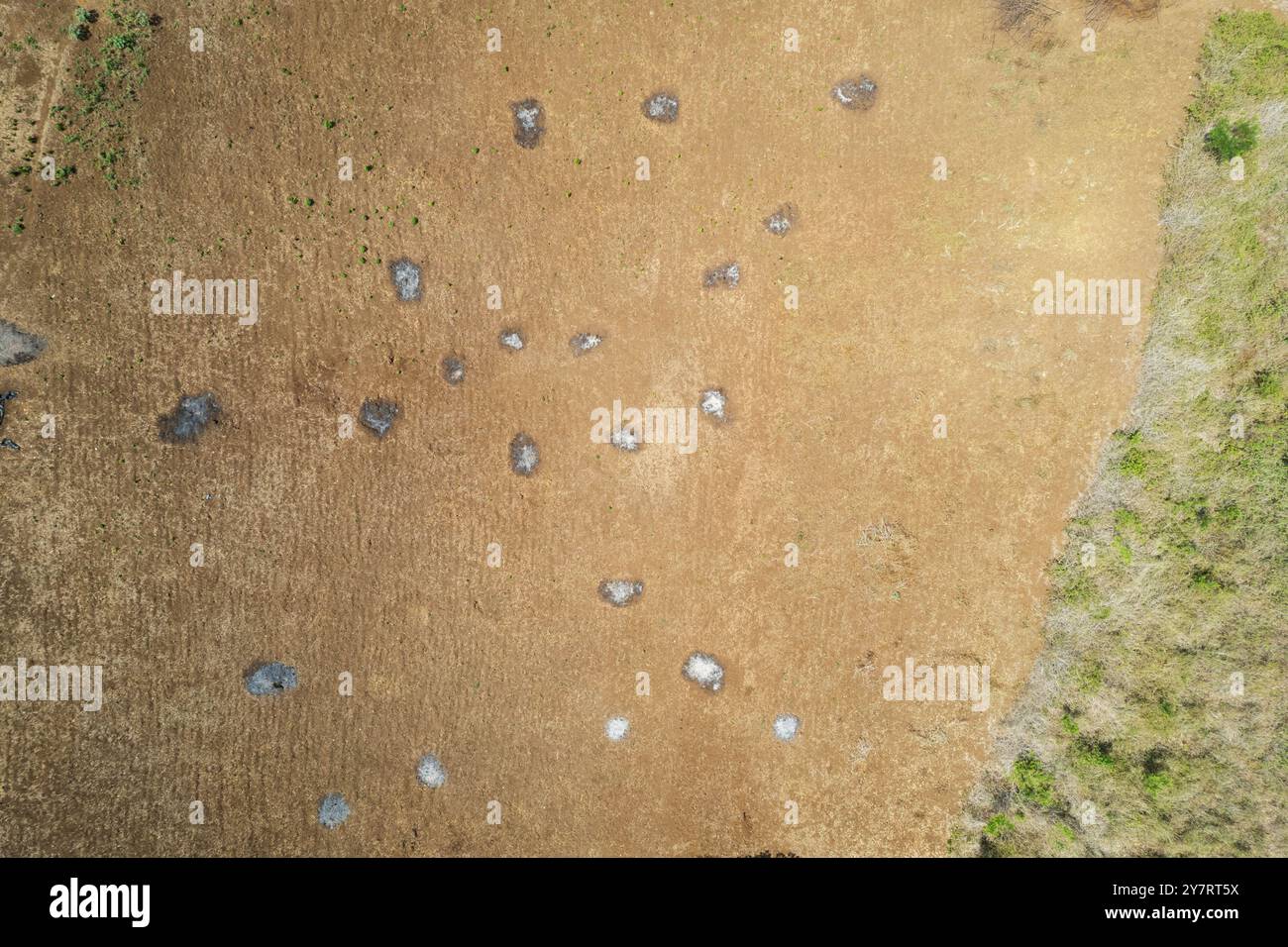 Burnt grass spots on agriculture field aerial above drone view Stock ...