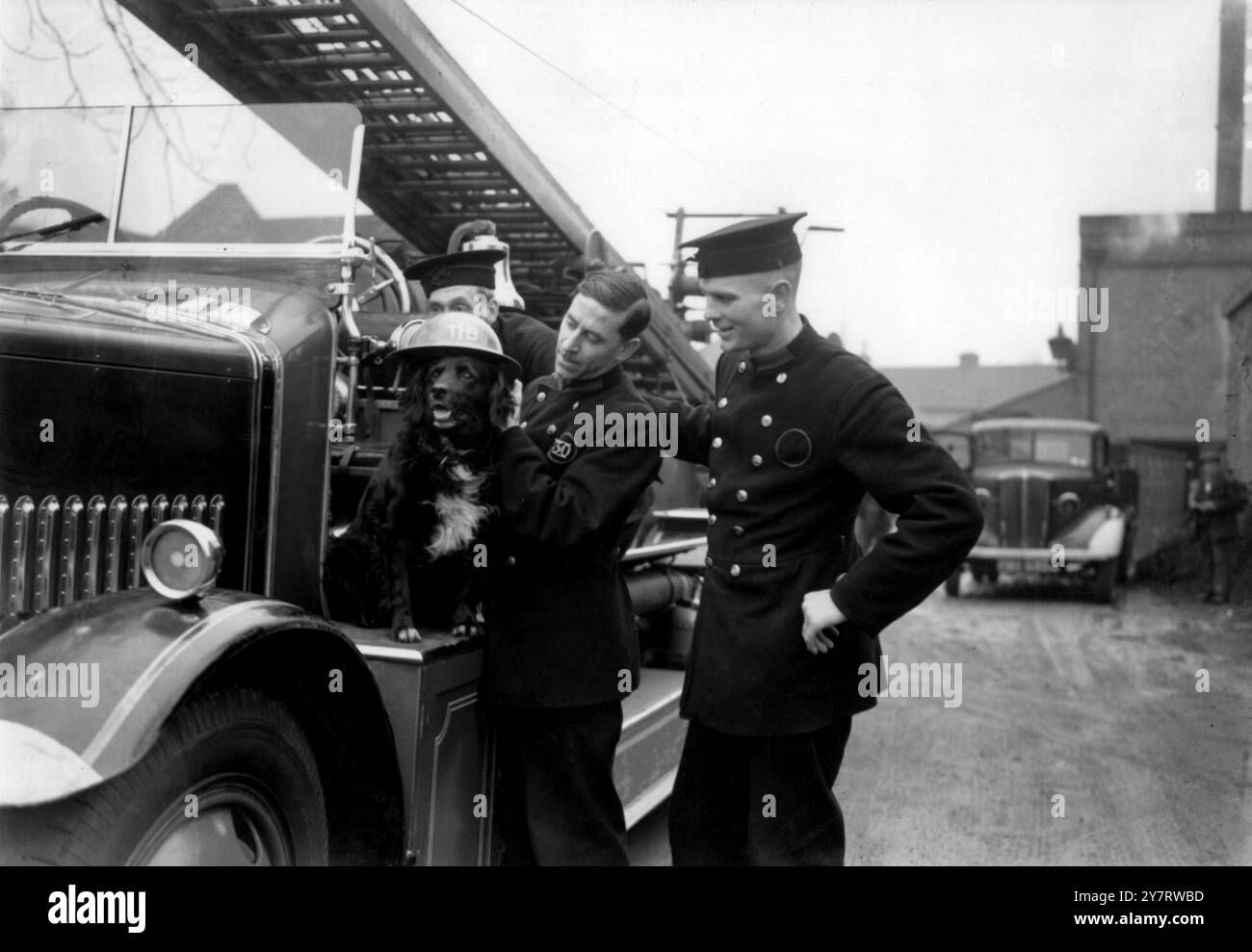 London fire station adopts 'blitzed dog' Firemen of the London fire ...