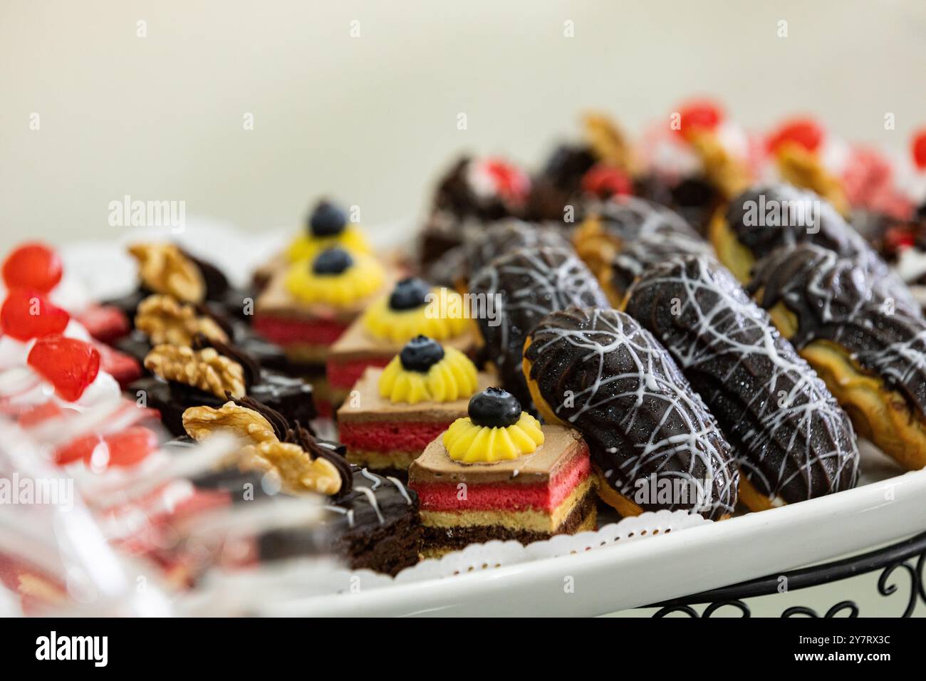 Rows of various small bite sized delicious gourmet desserts on display ...