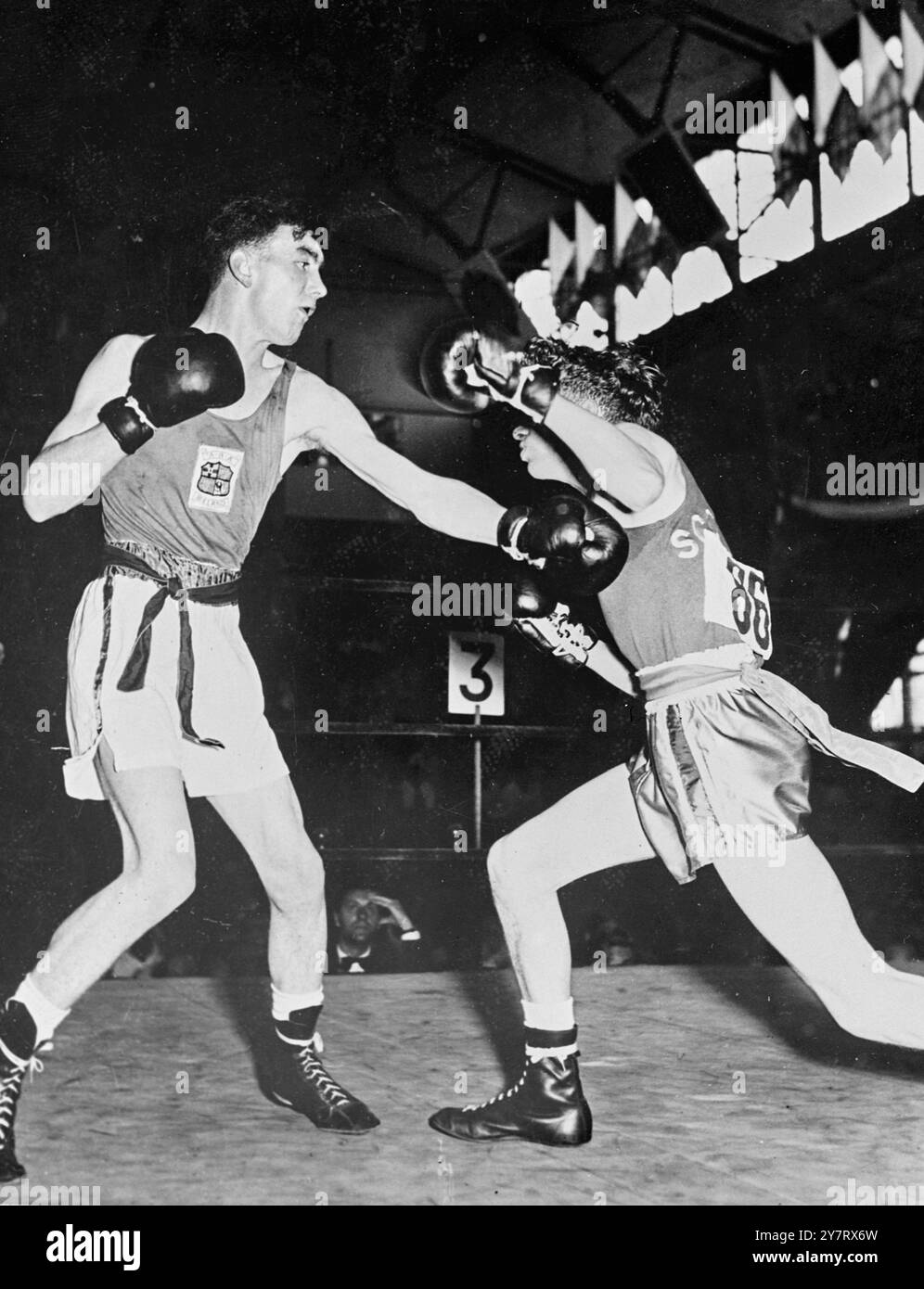 Boxingboxer hi-res stock photography and images - Alamy