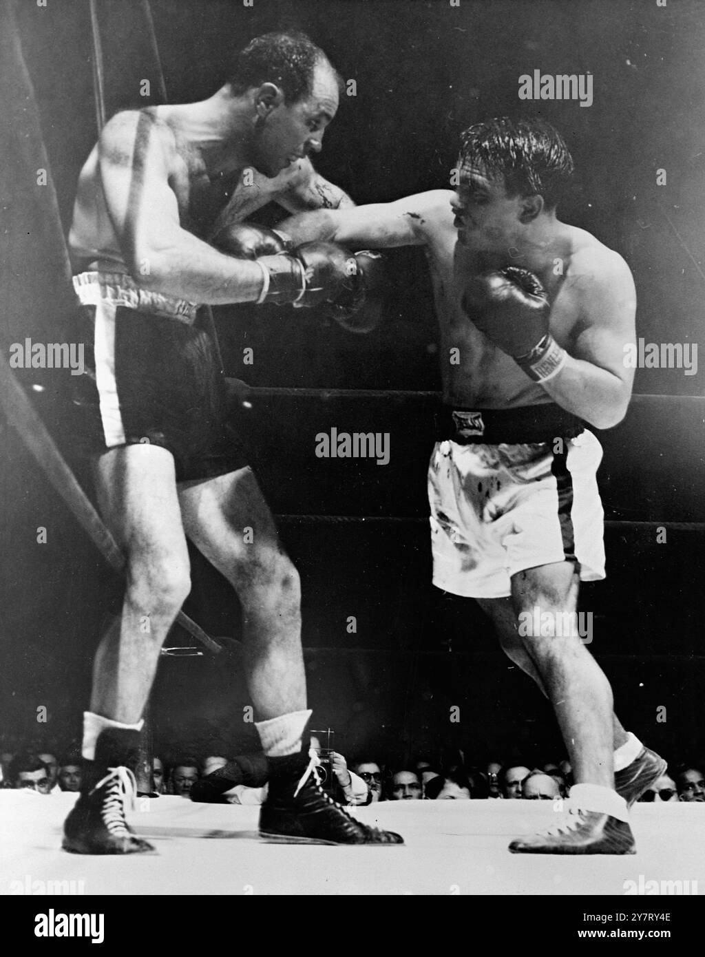 BELLOISE STEVE - BOXER V VILLEMAIN ROBERT - 49-01-11 Stock Photo - Alamy