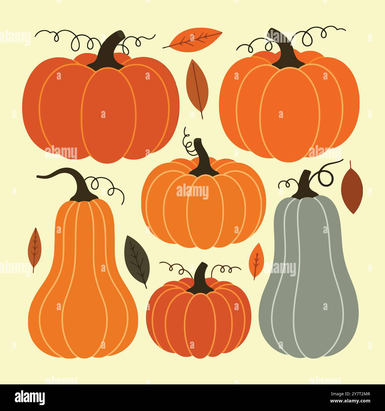Set of pumpkins in various shapes sizes and colors Stock Vector Image ...