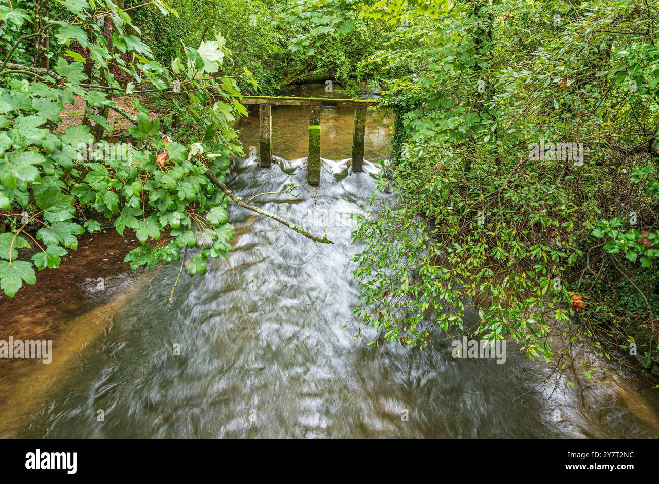 The delighfully named River Piddle in the village of Affpuddle, Dorset ...