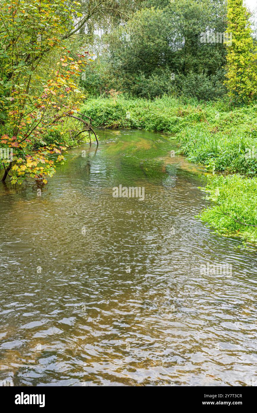 The delighfully named River Piddle in the village of Affpuddle, Dorset ...