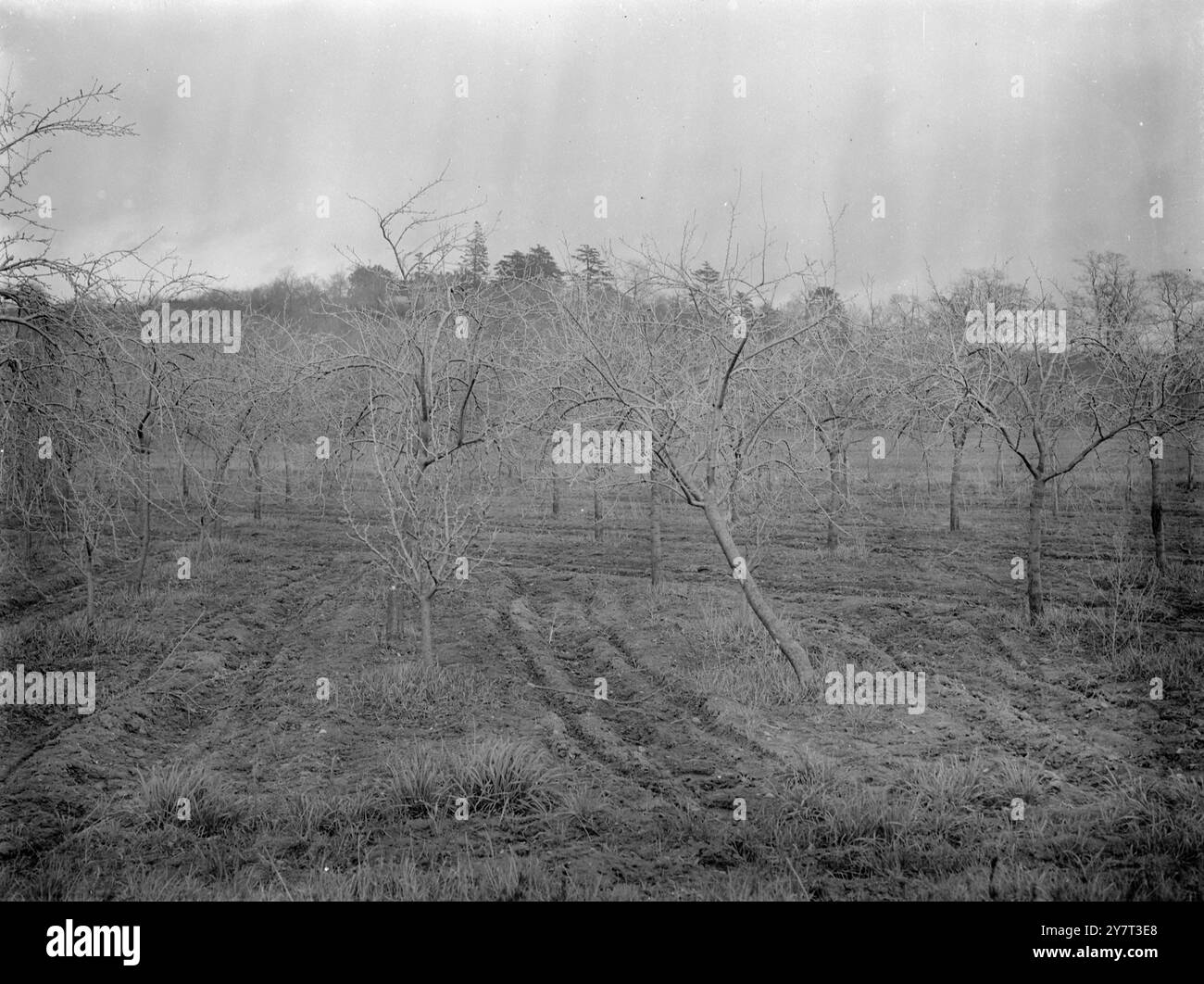 Ditton Black and White Stock Photos & Images - Alamy