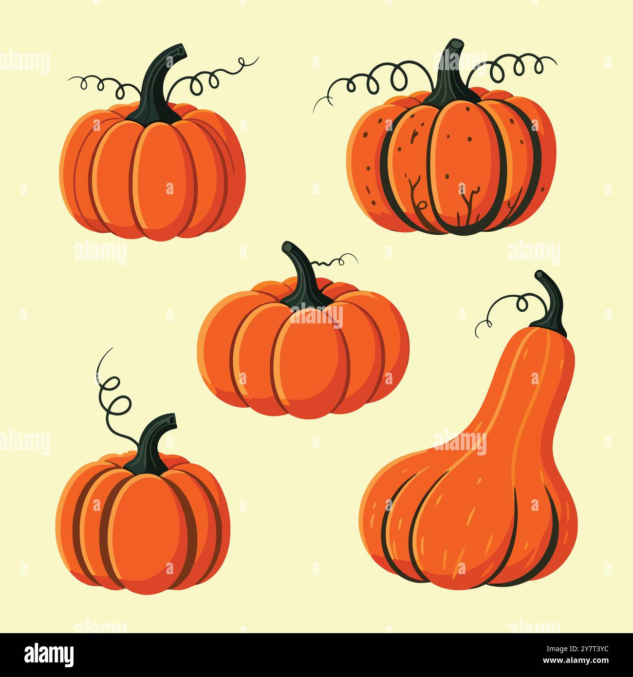 Set of pumpkins in various shapes sizes and colors Stock Vector Image ...