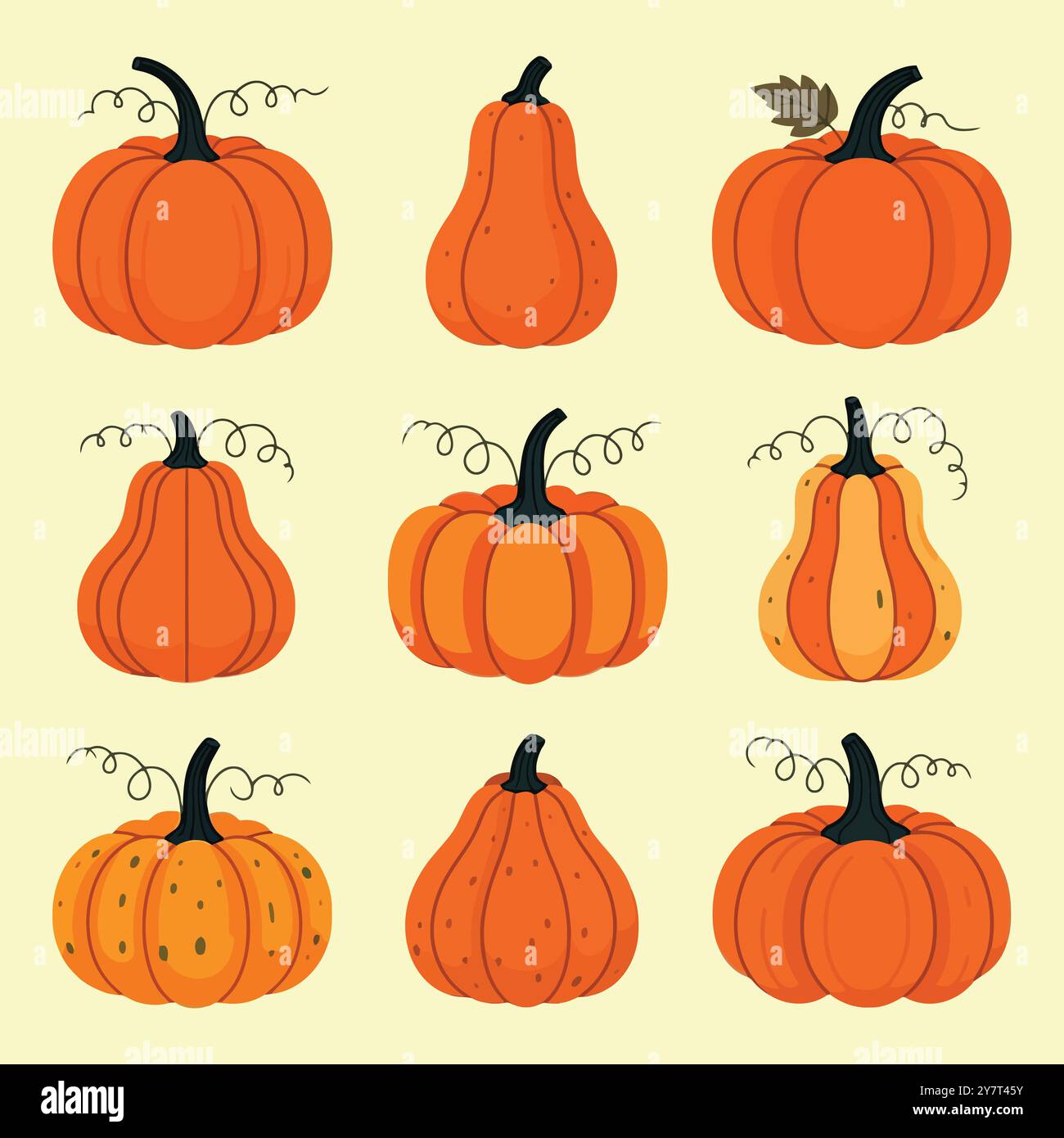 Set of pumpkins in various shapes sizes and colors Stock Vector Image ...