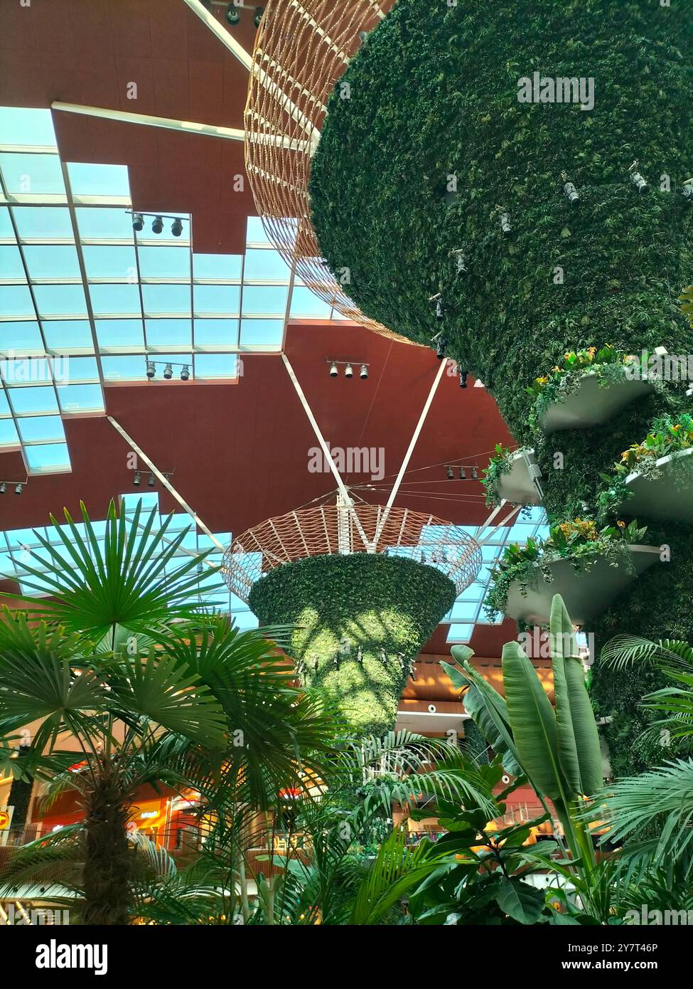 Lush Green Trees in the Lounge Area of Qatar Mall Stock Photo - Alamy