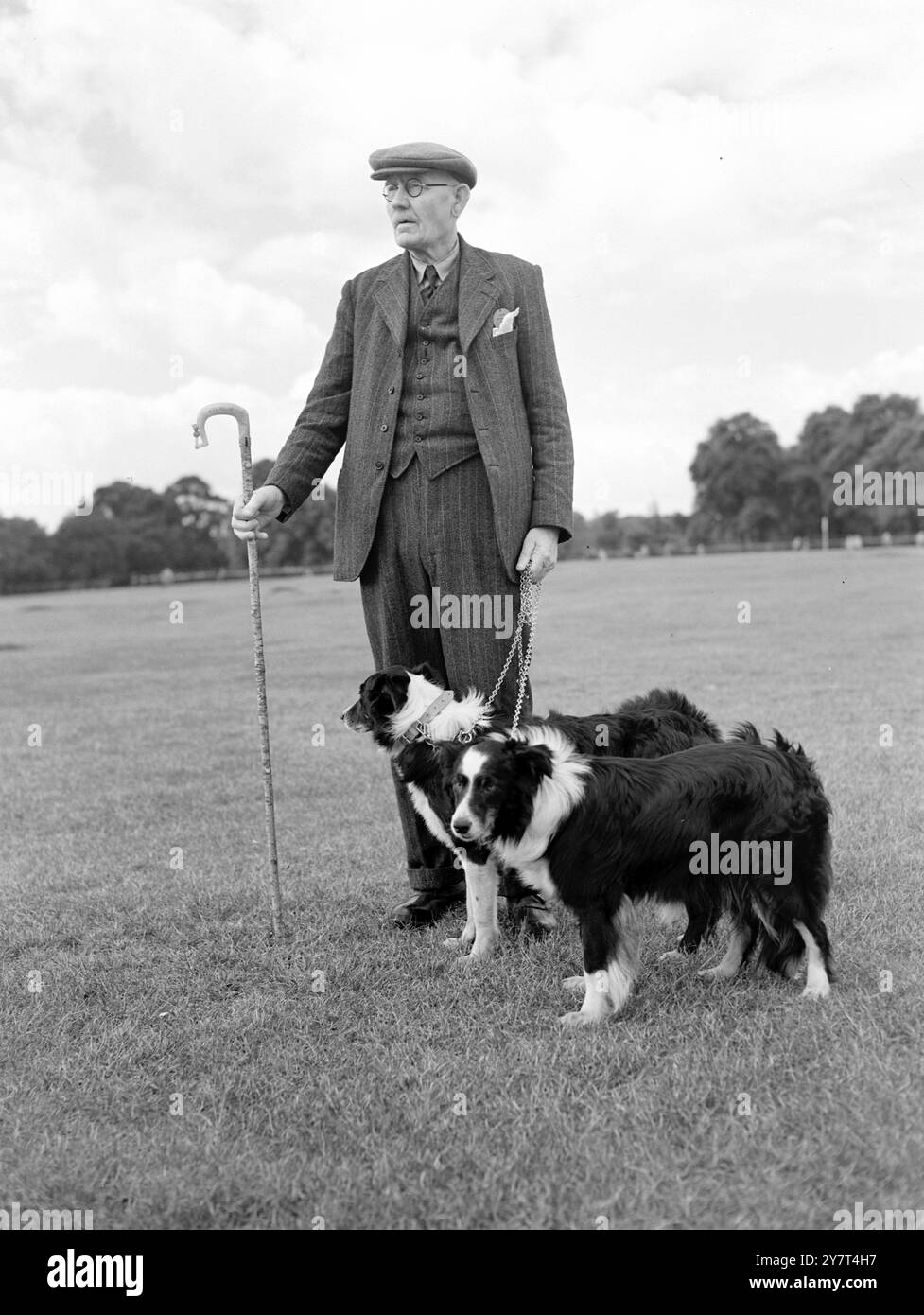 IN TOWN FOR THE TRIALS The International Sheep Dog Trials, one of the ...