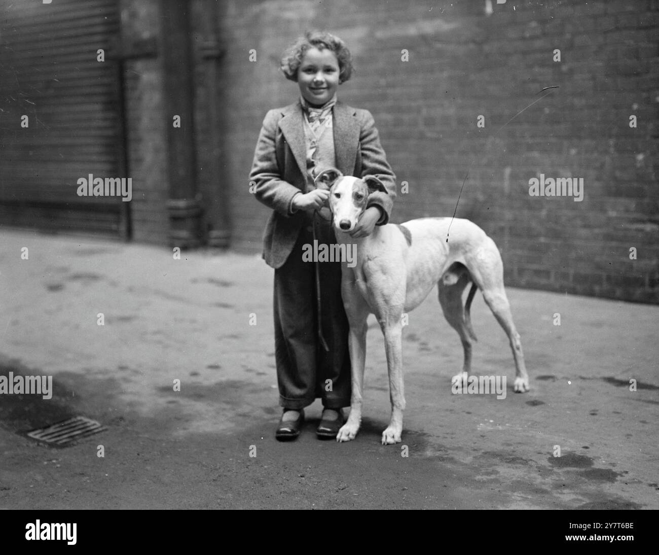 TROUSER-GIRL AND GREYHOUND SPEED TAXI OF PETWORTH - slim and handsome ...