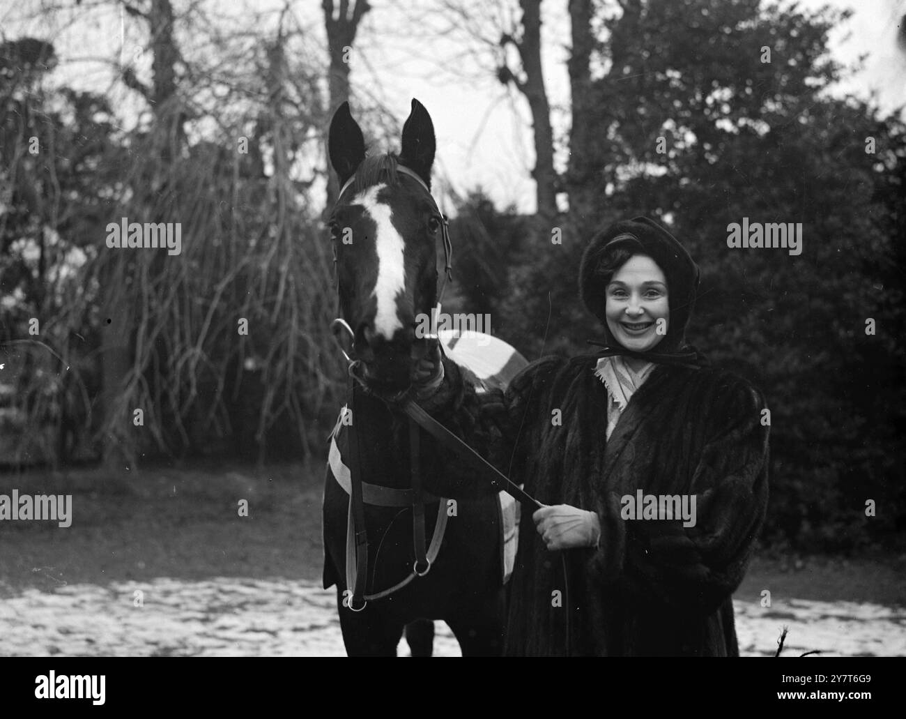 GOOGIE'S GOT A HORSE - FOR A FIVER Film actress Googie Withers and a ...