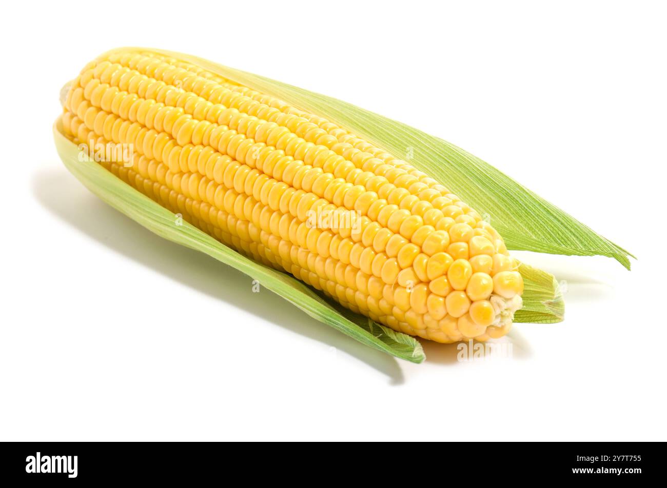 Corncob with green husks isolated on white Stock Photo - Alamy