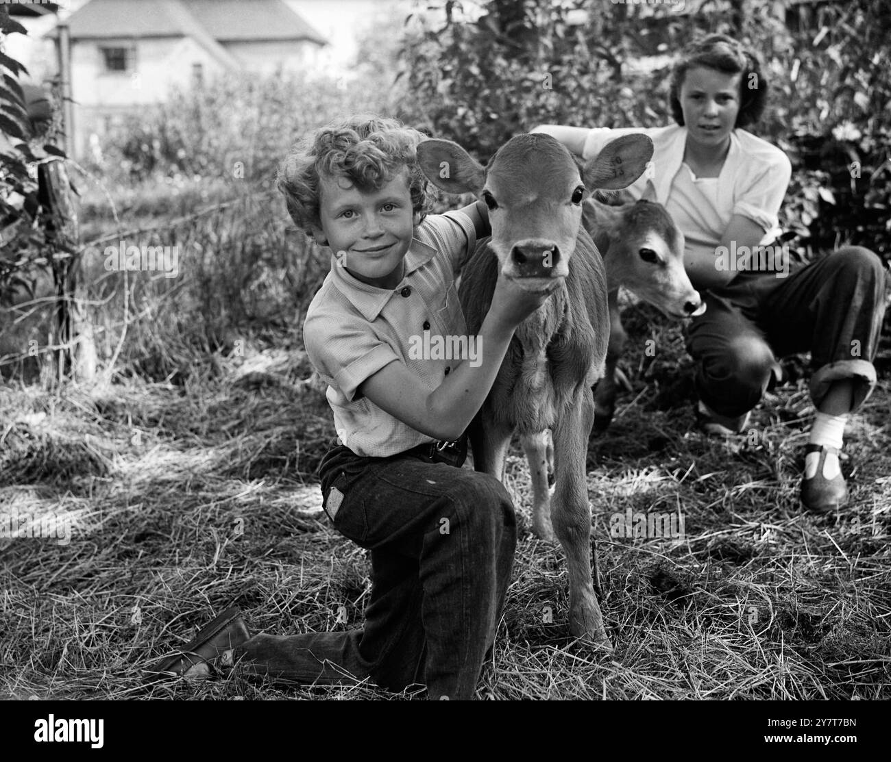 Quirk family hi-res stock photography and images - Alamy