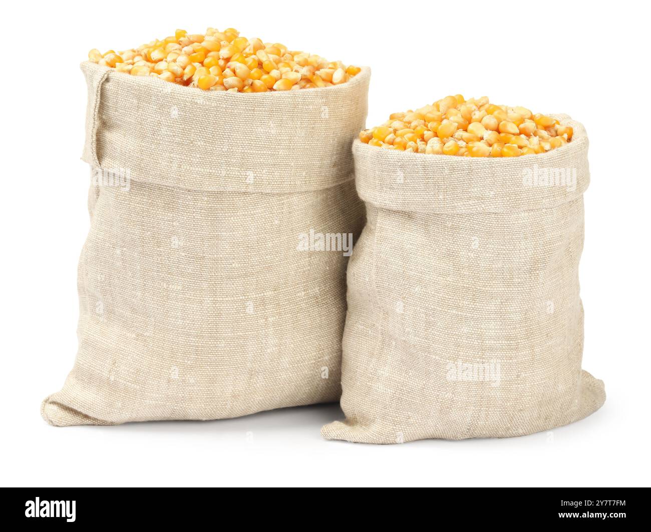 Fresh corn kernels in burlap sacks isolated on white Stock Photo - Alamy