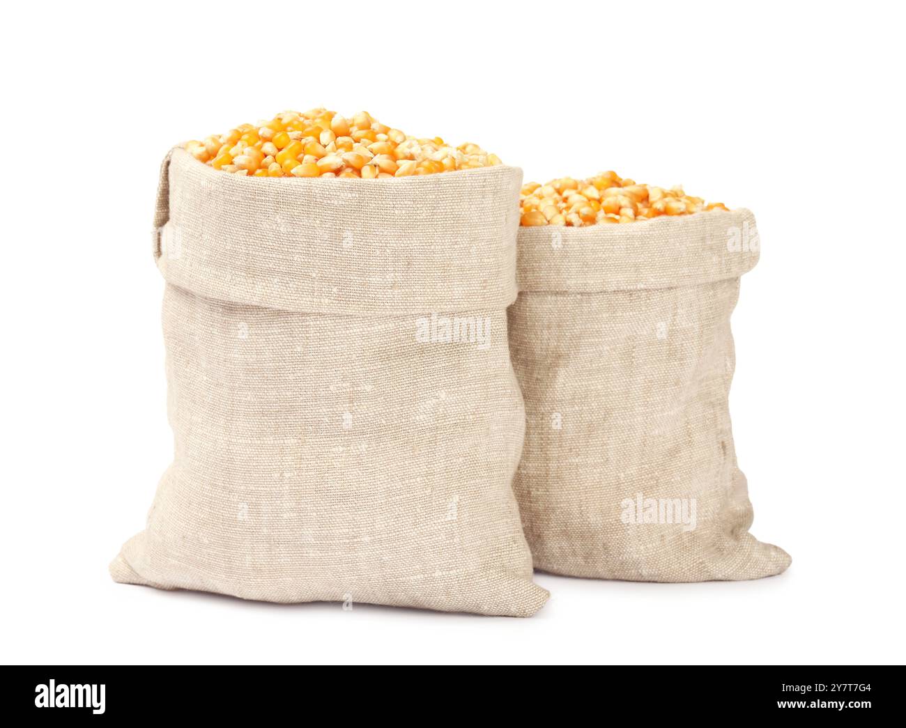 Fresh corn kernels in burlap sacks isolated on white Stock Photo - Alamy