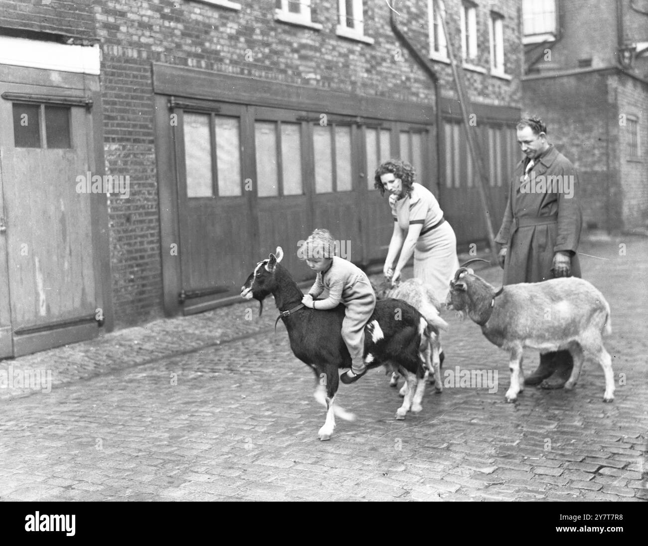 FLYING-OFFICER HAS GOAT FARM AT MARBLE ARCH - Flying-officer Dudley ...
