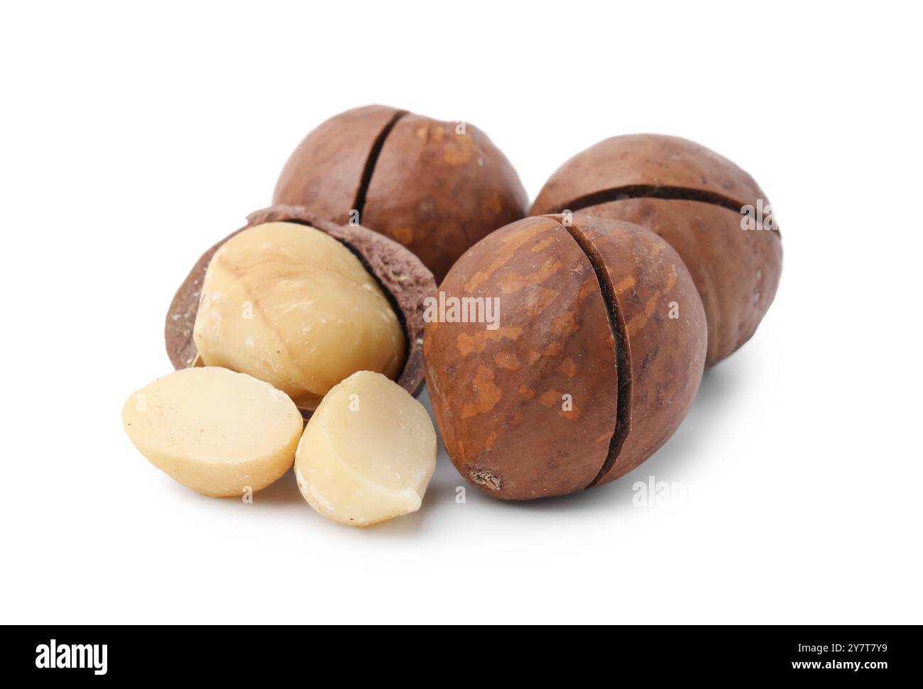 Macadamia nuts with shells isolated on white Stock Photo - Alamy