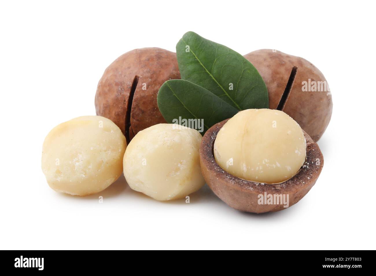 Macadamia nuts with shells isolated on white Stock Photo - Alamy