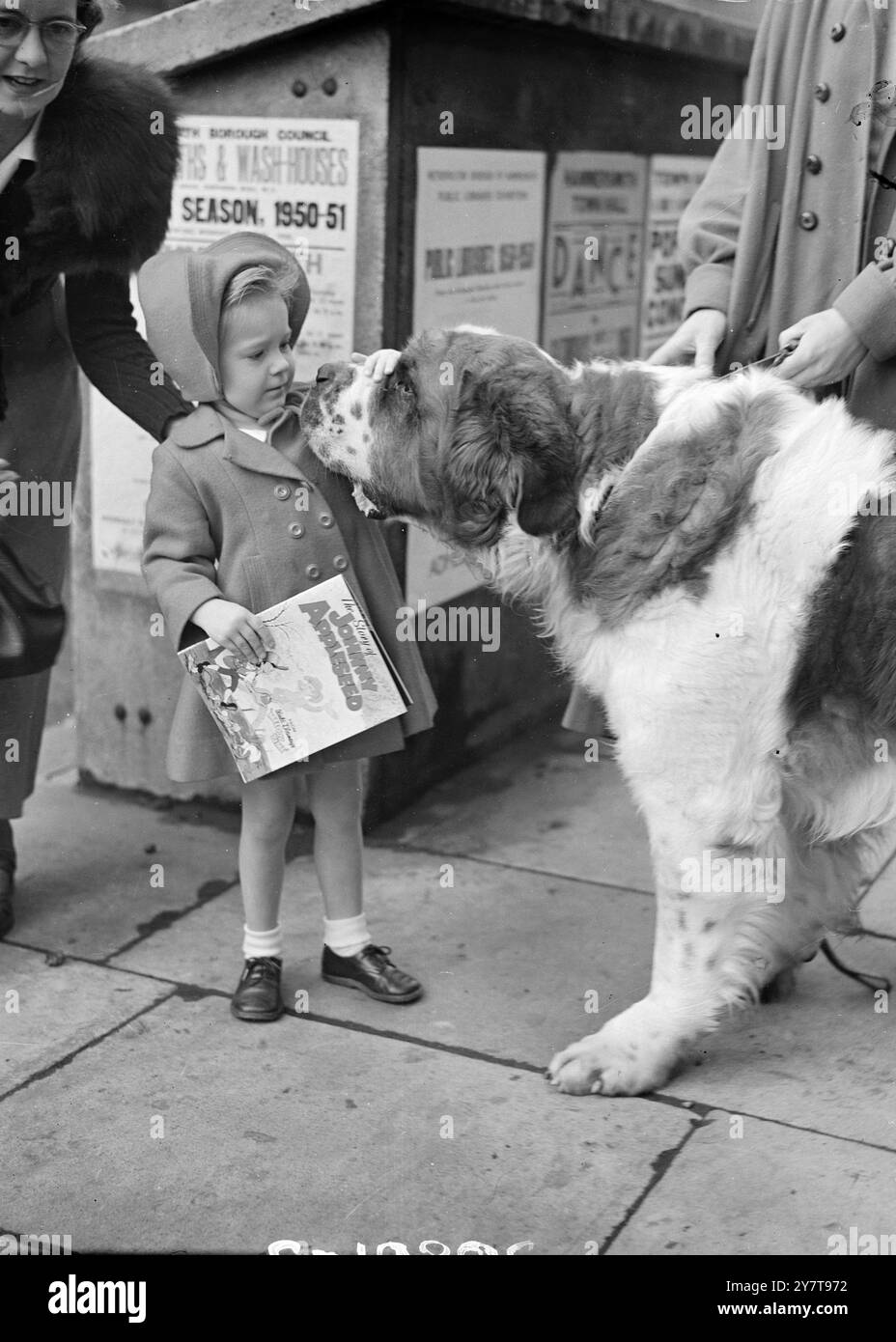 GIRL FROM NAIROBI MEETS ST BERNARD Little Jacqueline Ghent aged 3, of ...