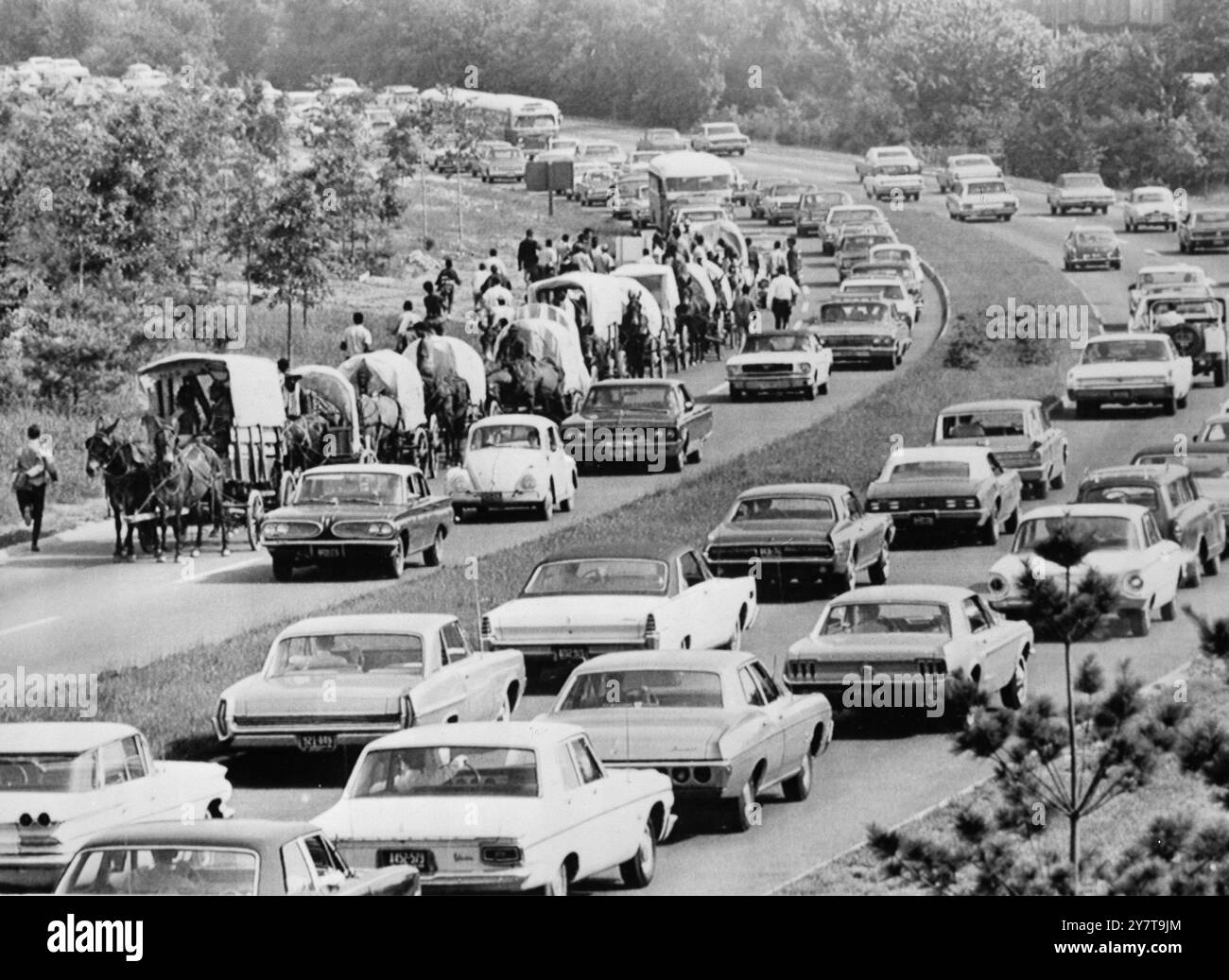 WASHINGTON, D.C.: THE POOR PEOPLE'S MULE TRAIN WHICH ARRIVED BY RAIL ...
