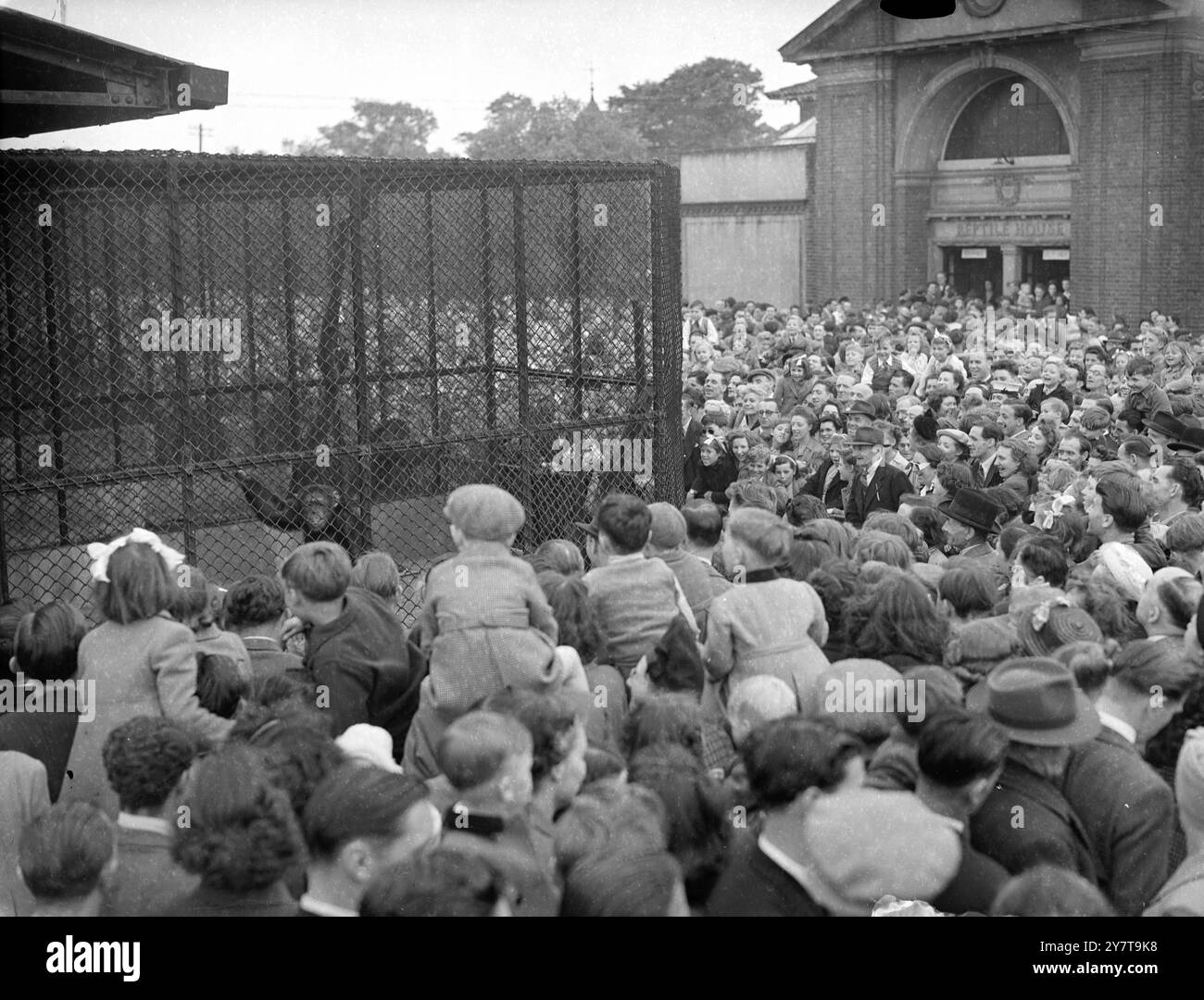 Holiday crowds jam the Zoo. People crowd around the popular Chimpanzee ...