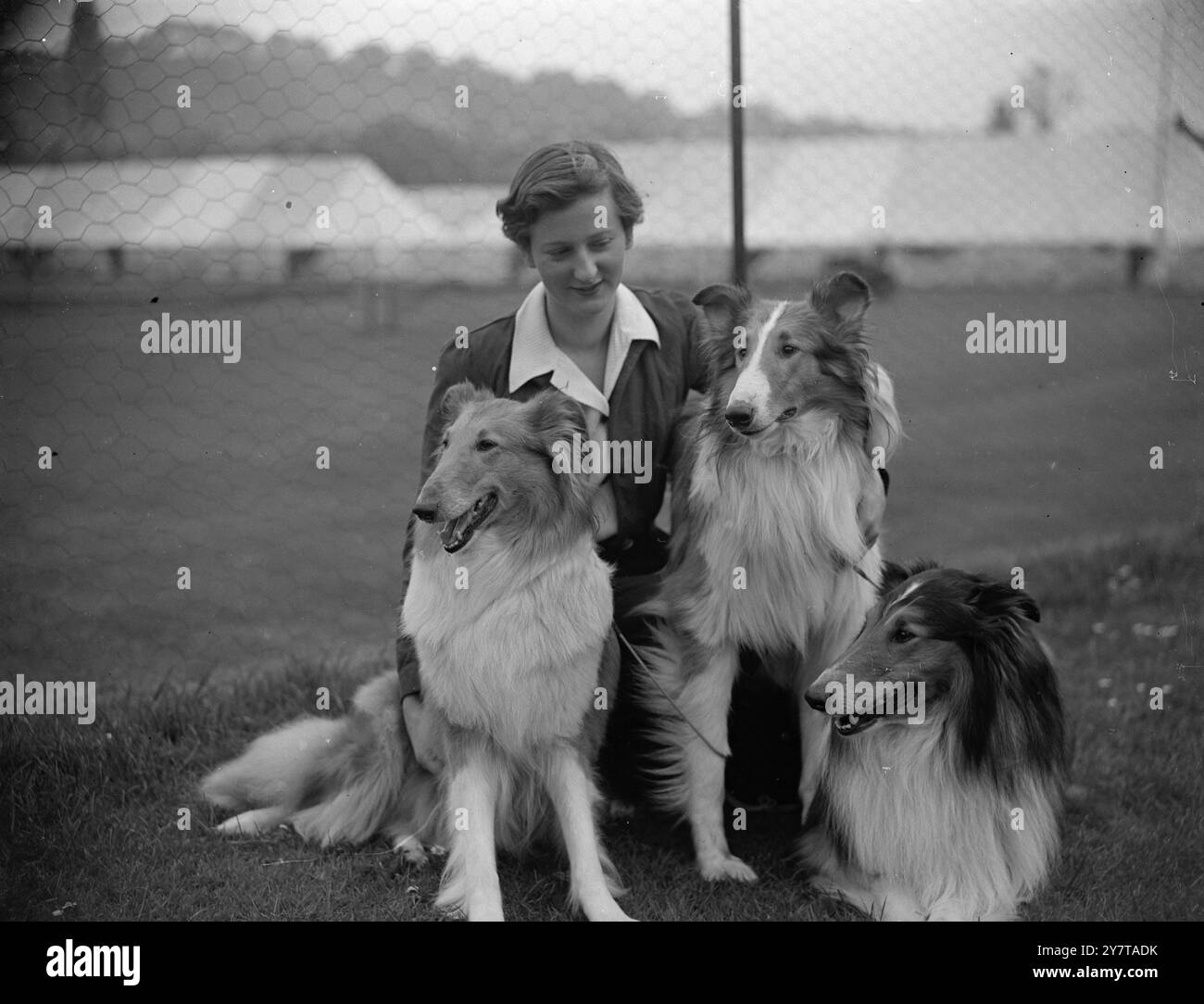 1950s mother father young hi-res stock photography and images - Alamy