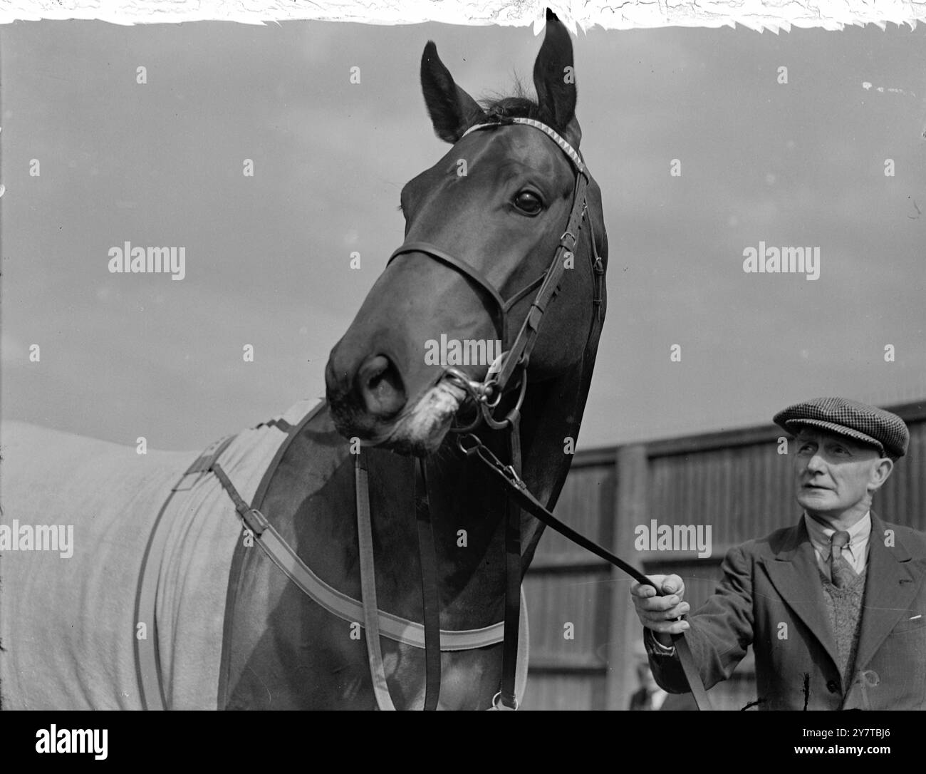 DARK HORSE15 April 1950 Prince Simon , huge, beautifully proportioned ...