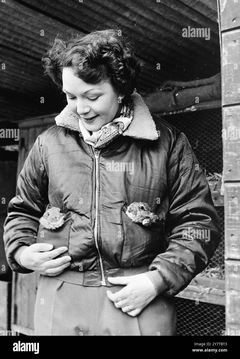 EASTER BUNNIES FOR JEAN KENT 7 April 1950 Easter goes with a zip for ...