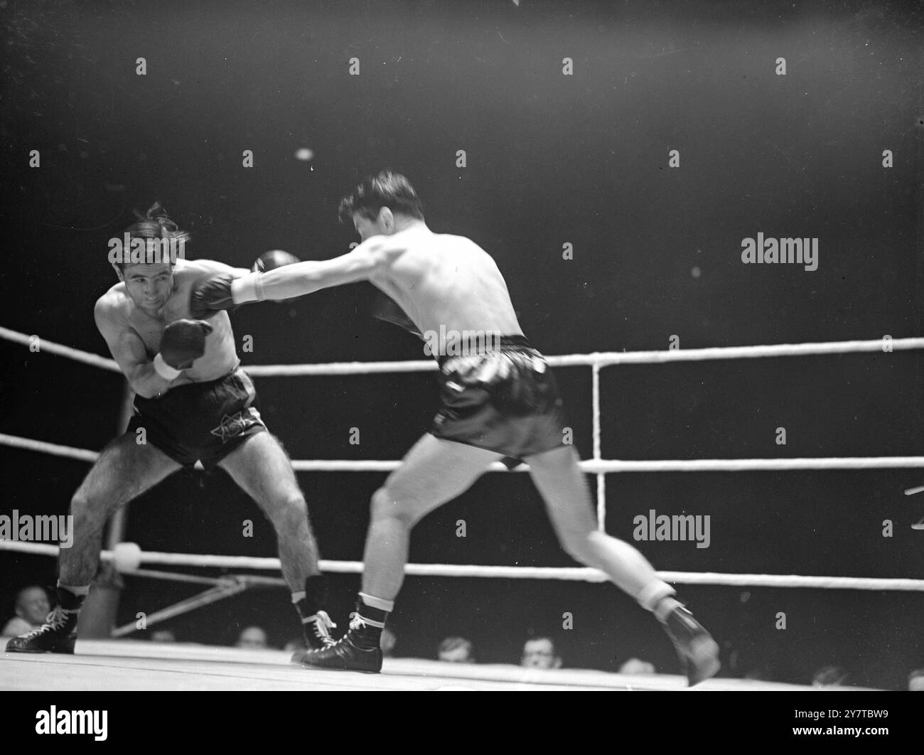 Champion trunks hi-res stock photography and images - Alamy