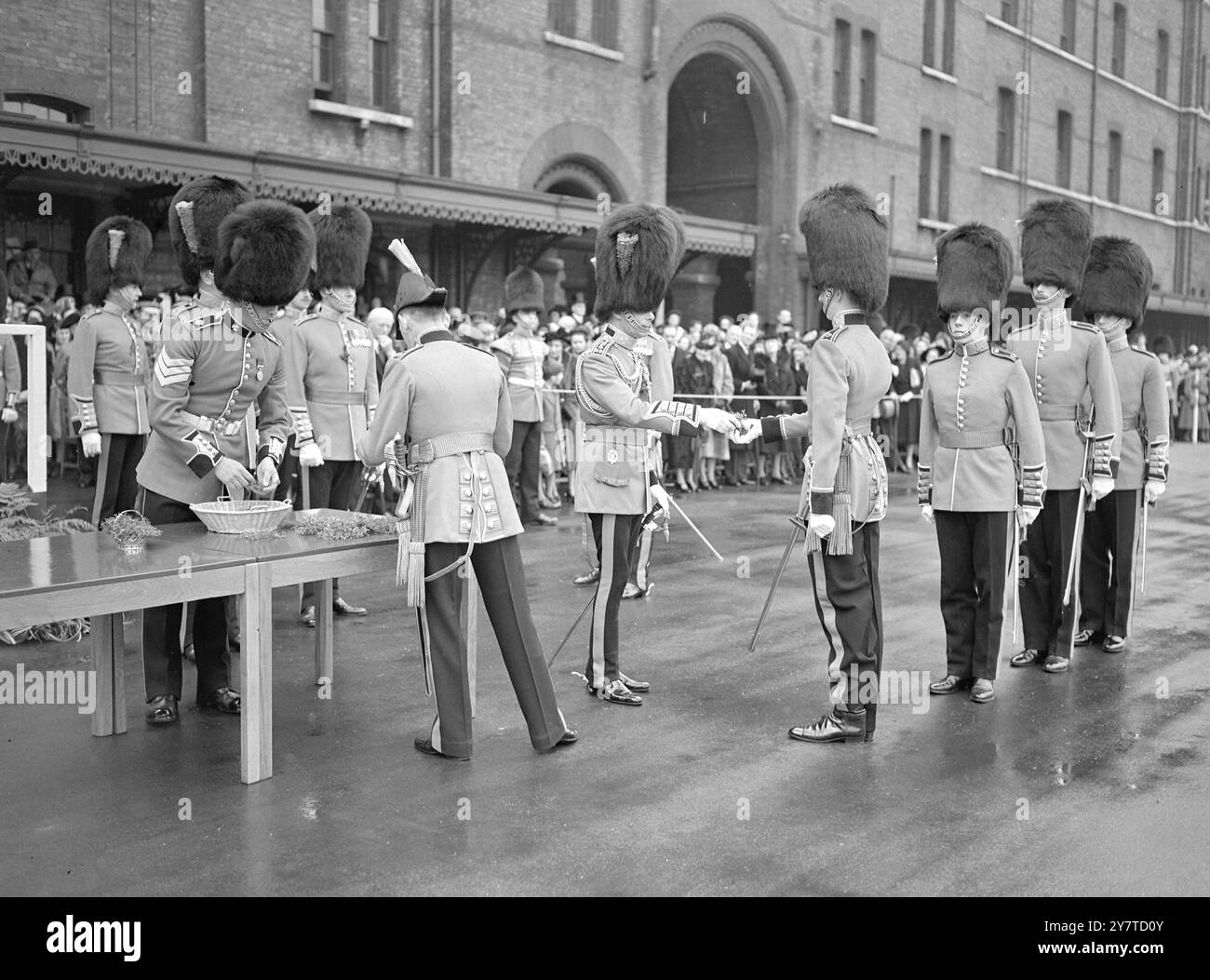 SHAMROCK FROM THE KING Honouring the half-Centenary of the regiment's ...