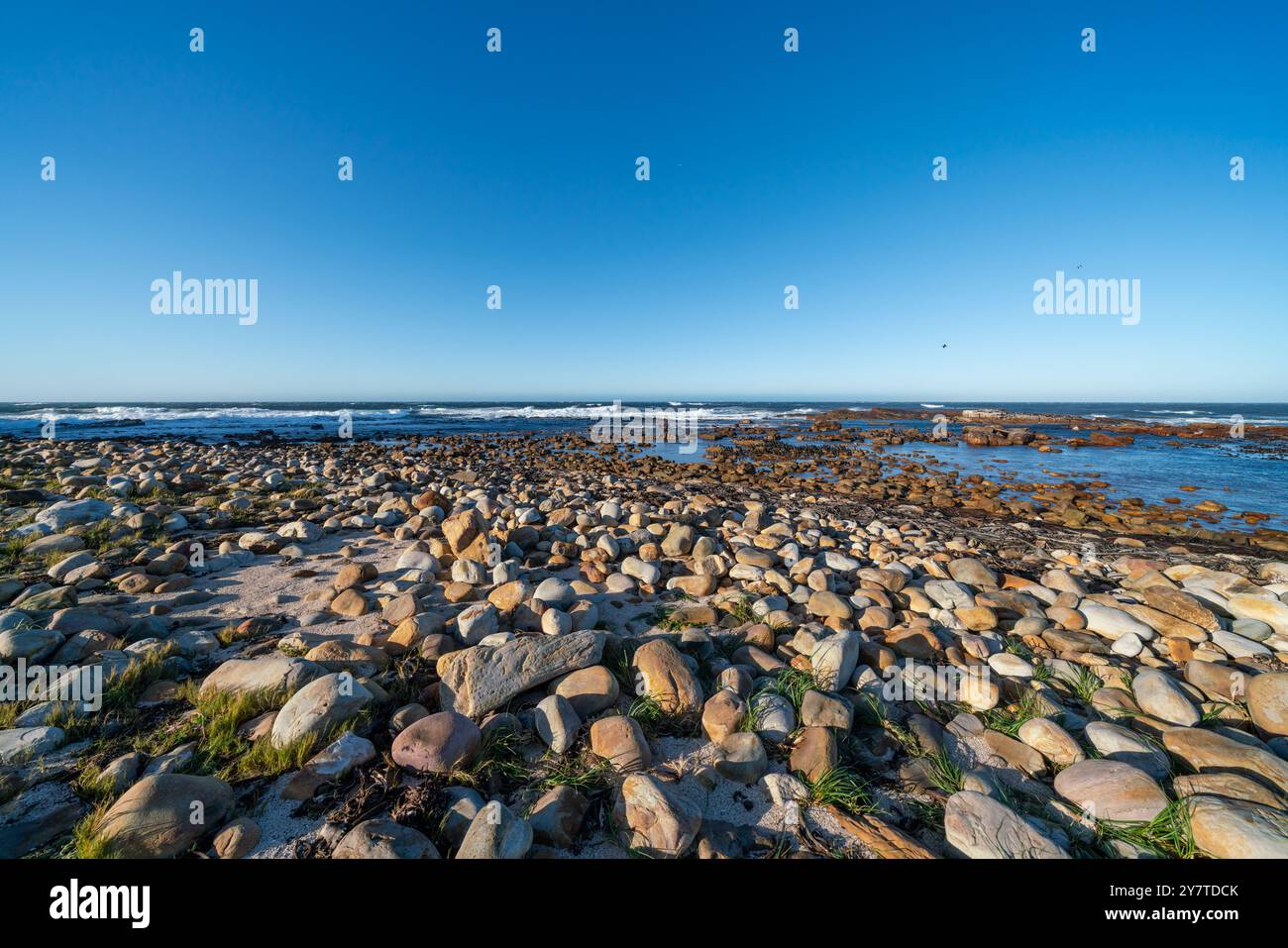 View of the Atlantic Ocean at Cape of Good Hope, cape peninsula ...
