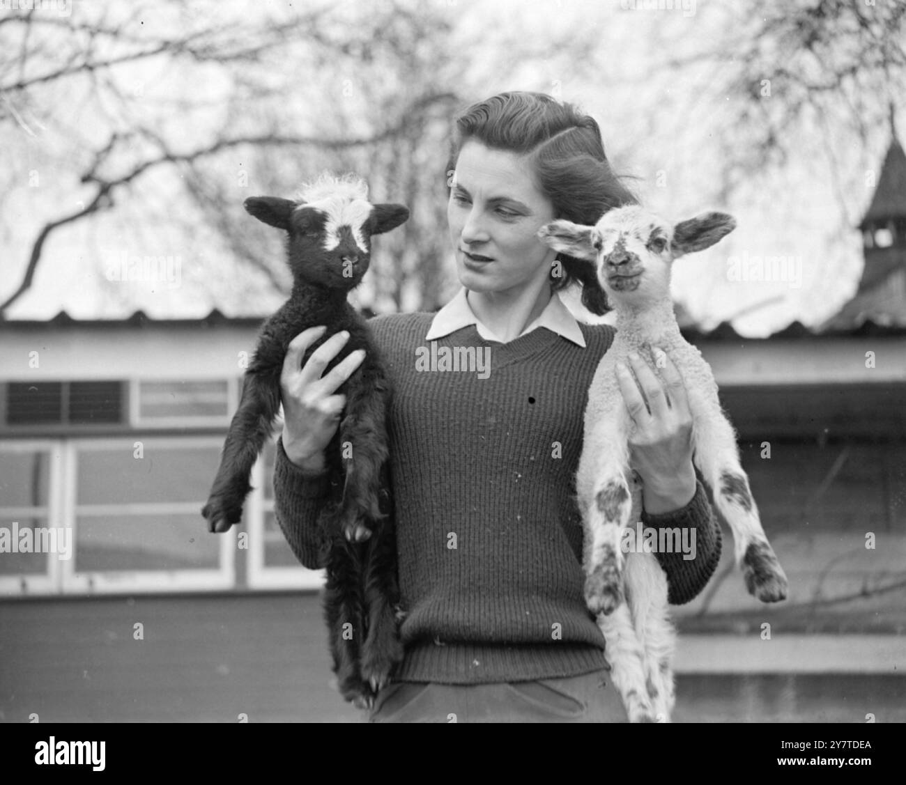 TWO ' MONTHS' -- BUT NEWLY ARRIVED Strangers around these parts, but ...