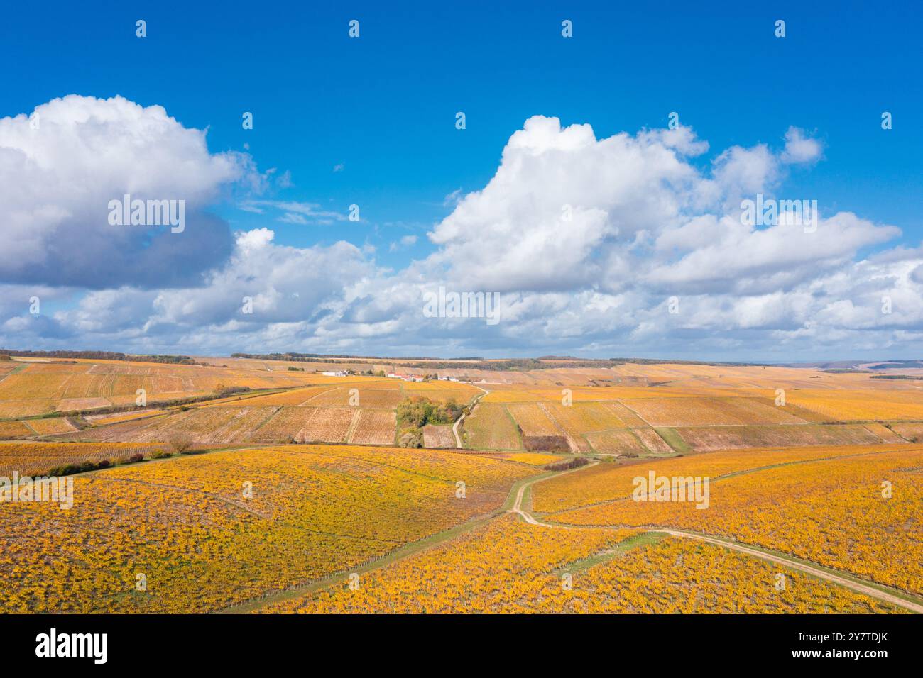 Burgundy, vineyards and landscape in autumn Stock Photo - Alamy